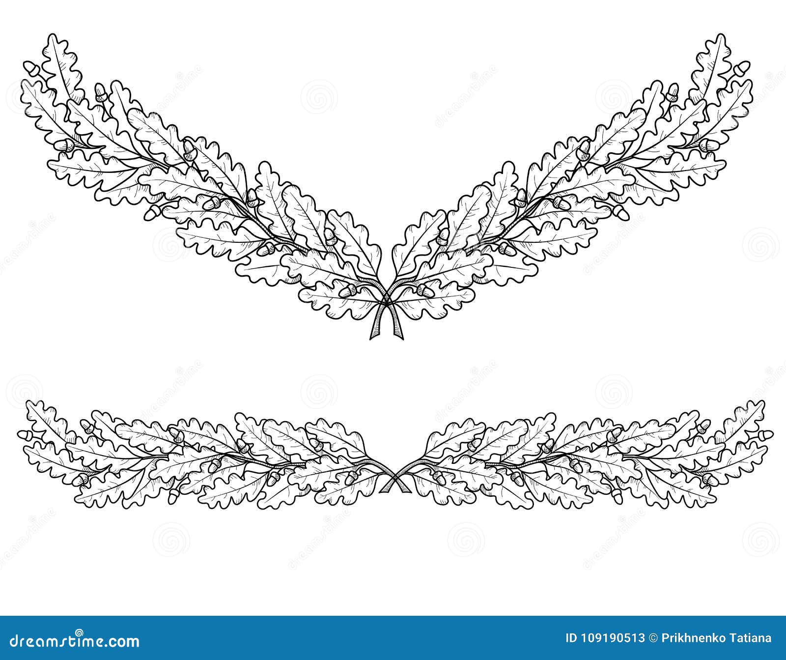 Sketch of oak branches stock vector. Illustration of ceremonial - 109190513