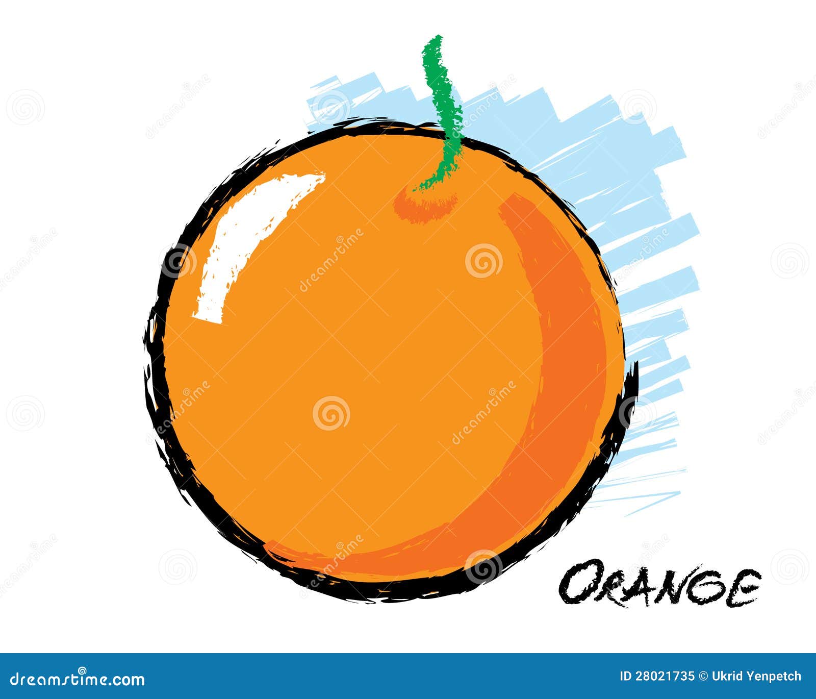 Sketch of an orange stock vector. Illustration of citrus - 28021735