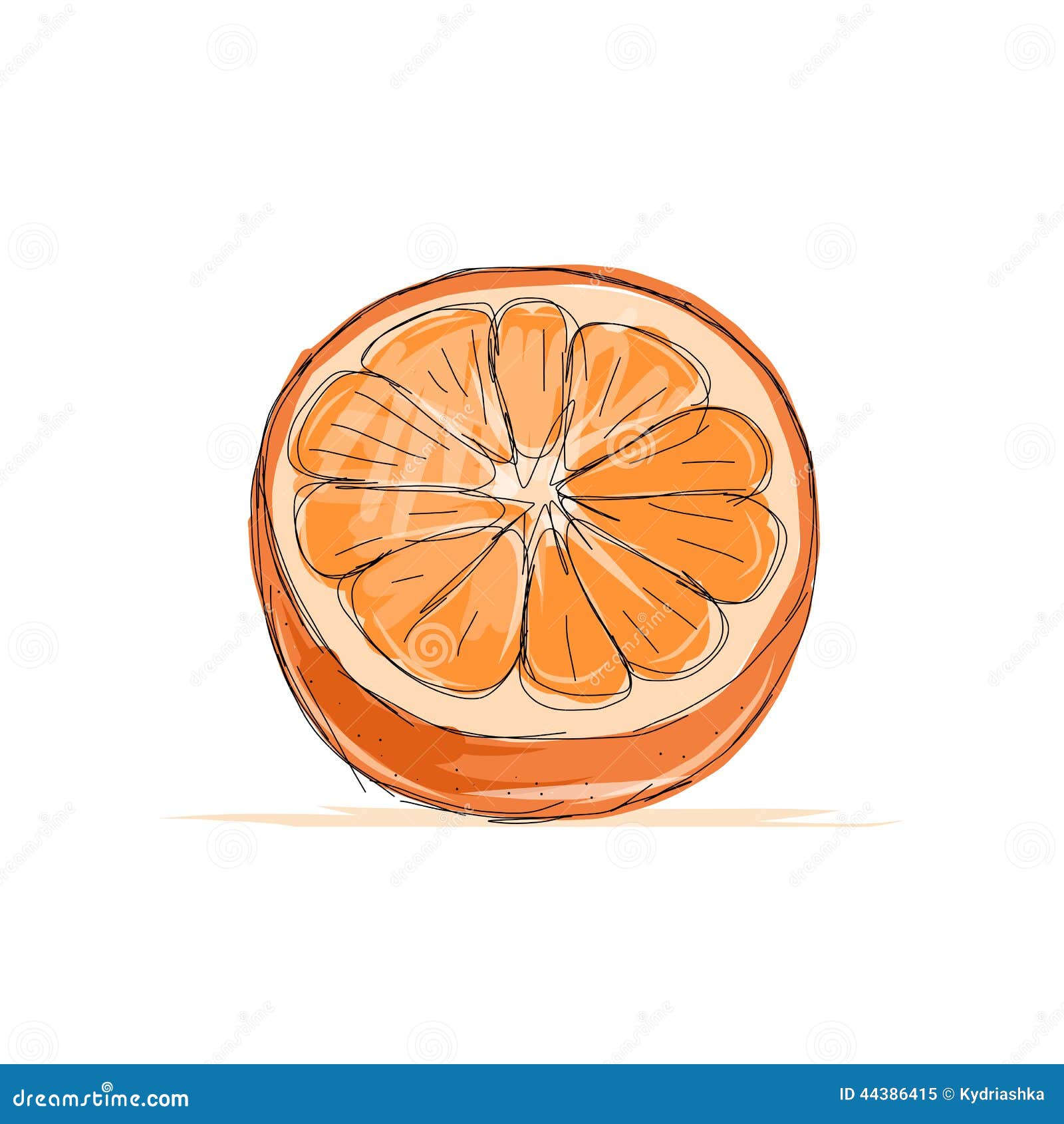 Sketch of Orange for Your Design Stock Vector - Illustration of design ...