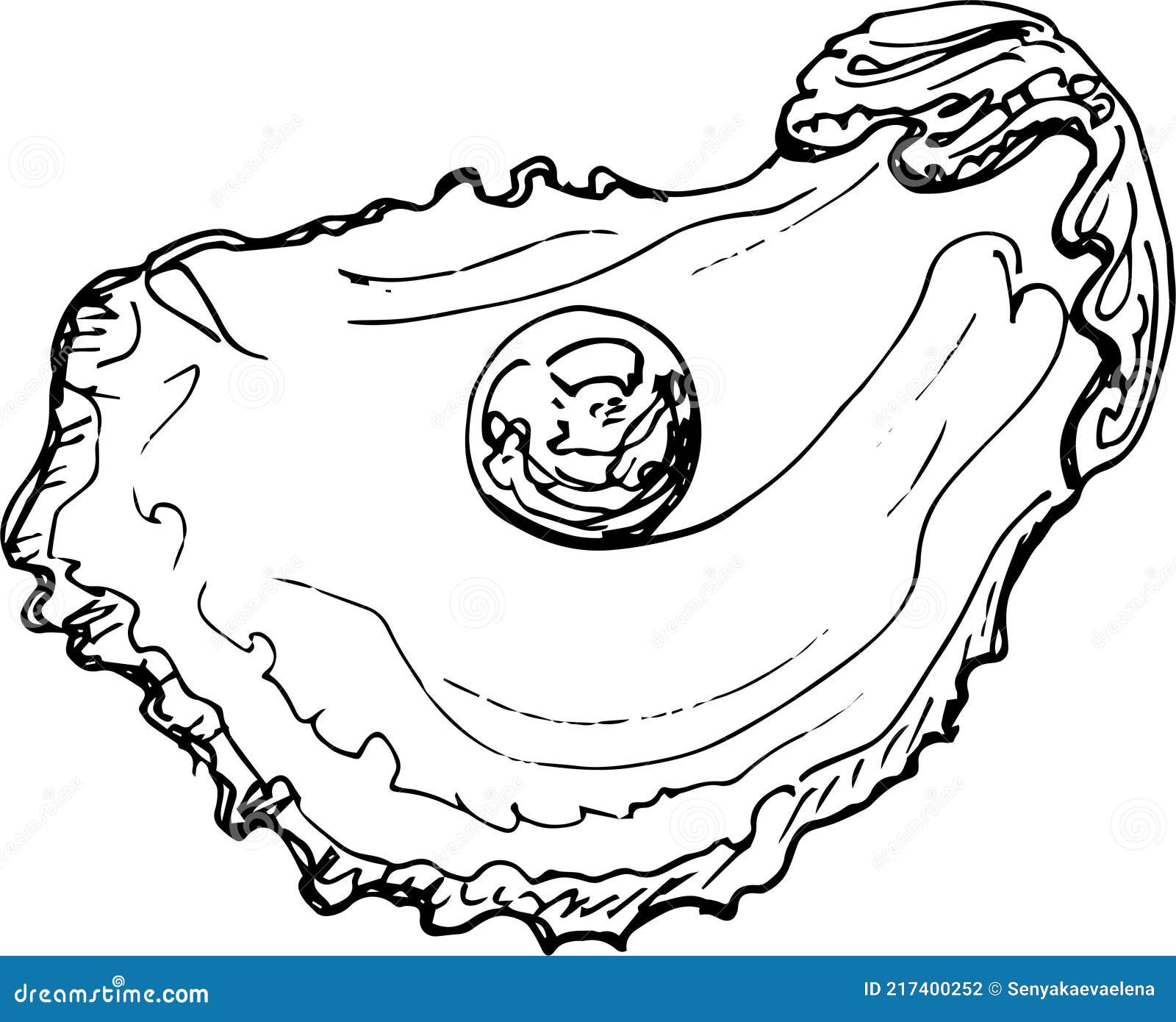 Sketch Oyster With Pearl. Hand Drawing Vector Illustration In Doodle ...