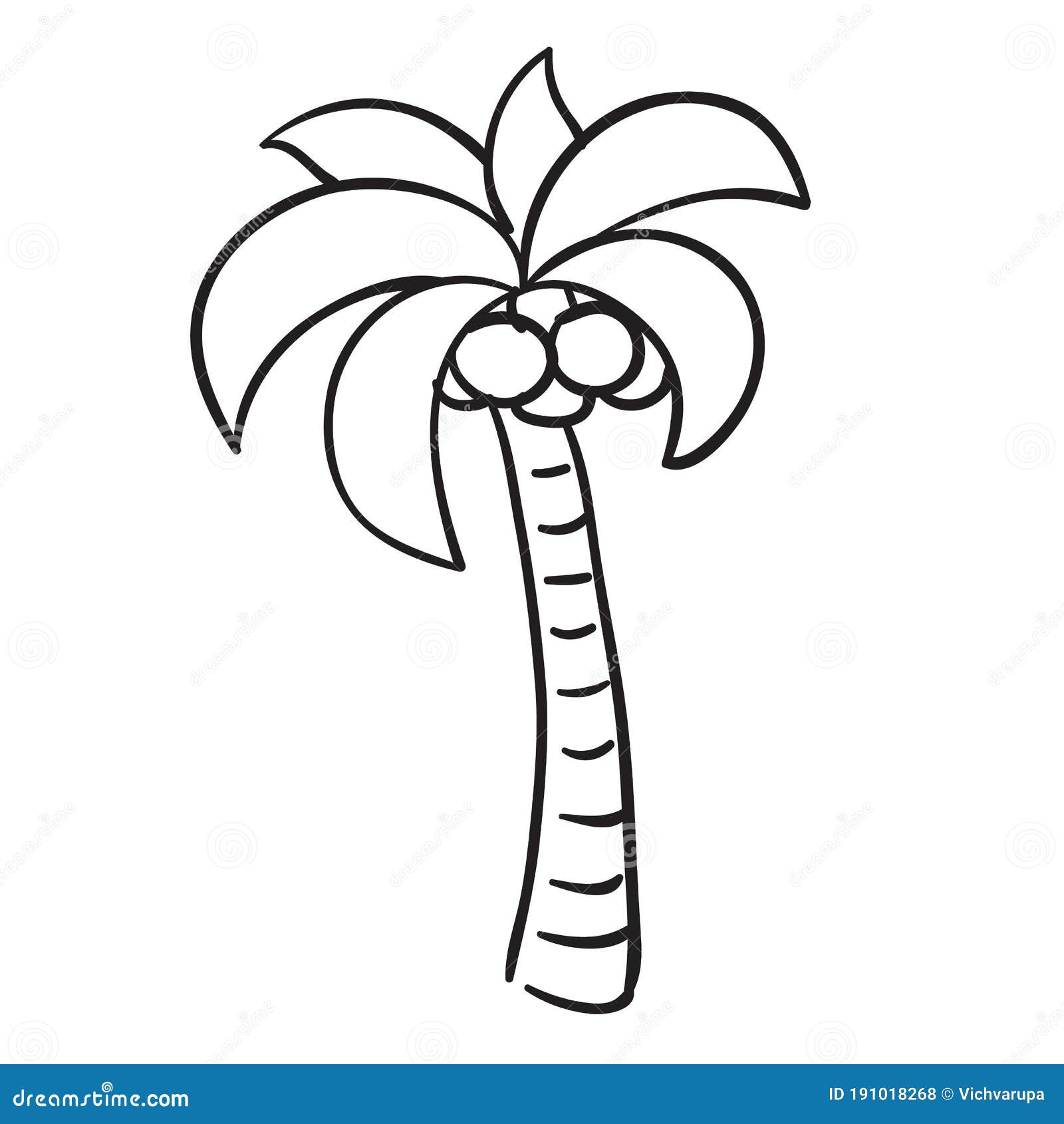 Sketch of Palm Tree with Coconuts, Coloring Book, Cartoon Illustration ... Sketch of Palm Tree with Coconuts, Coloring Book, Cartoon Illustration ...