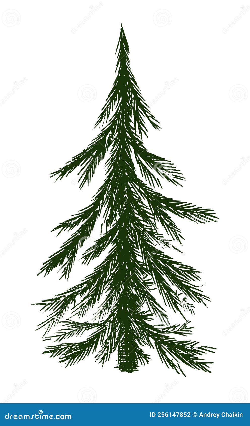 A Sketch of a Pine Tree in Ink Pen. Stock Vector - Illustration of tree ...