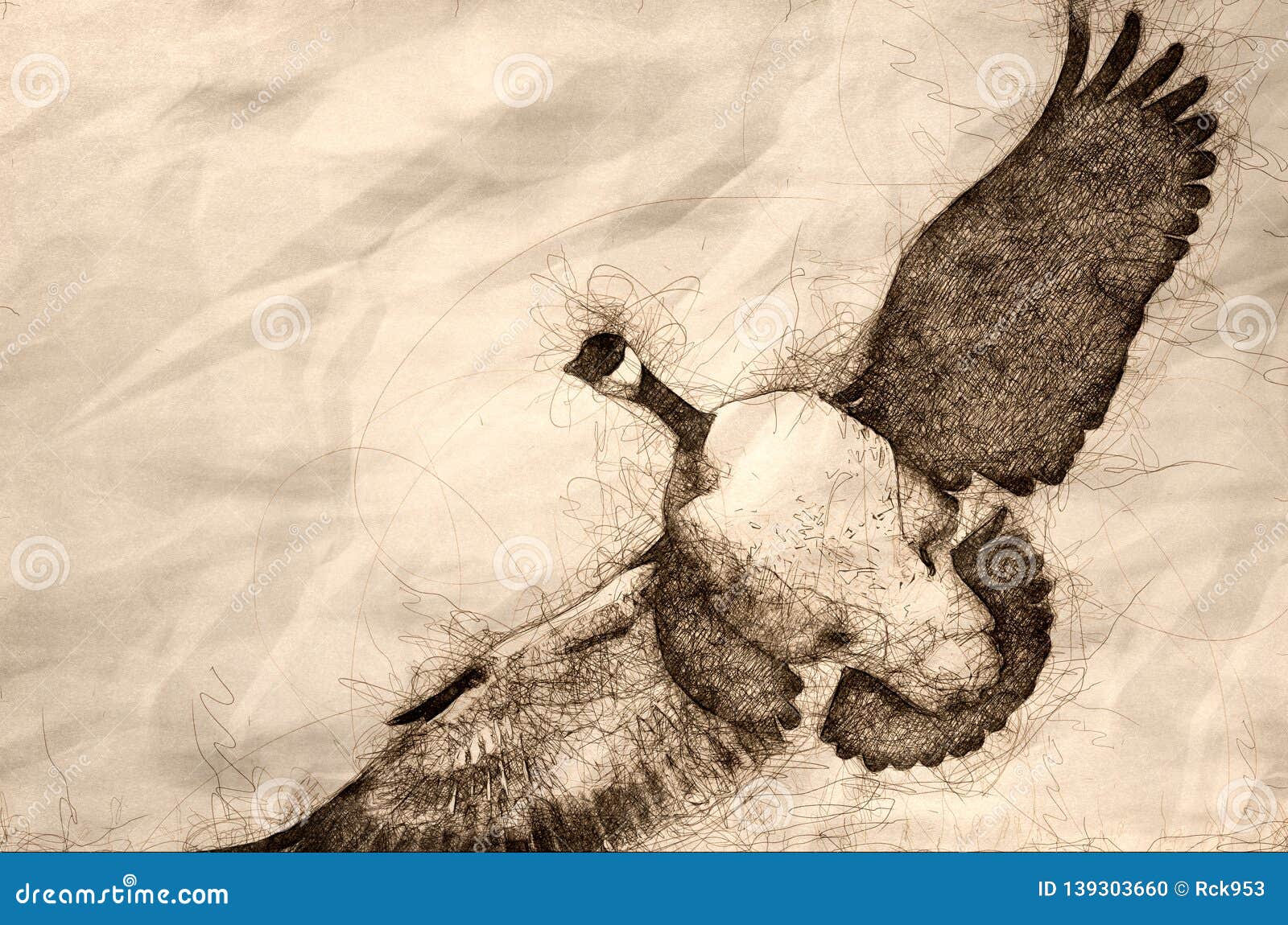 Goose In Flight. Vector Drawing Stock Photo | CartoonDealer.com #180589464