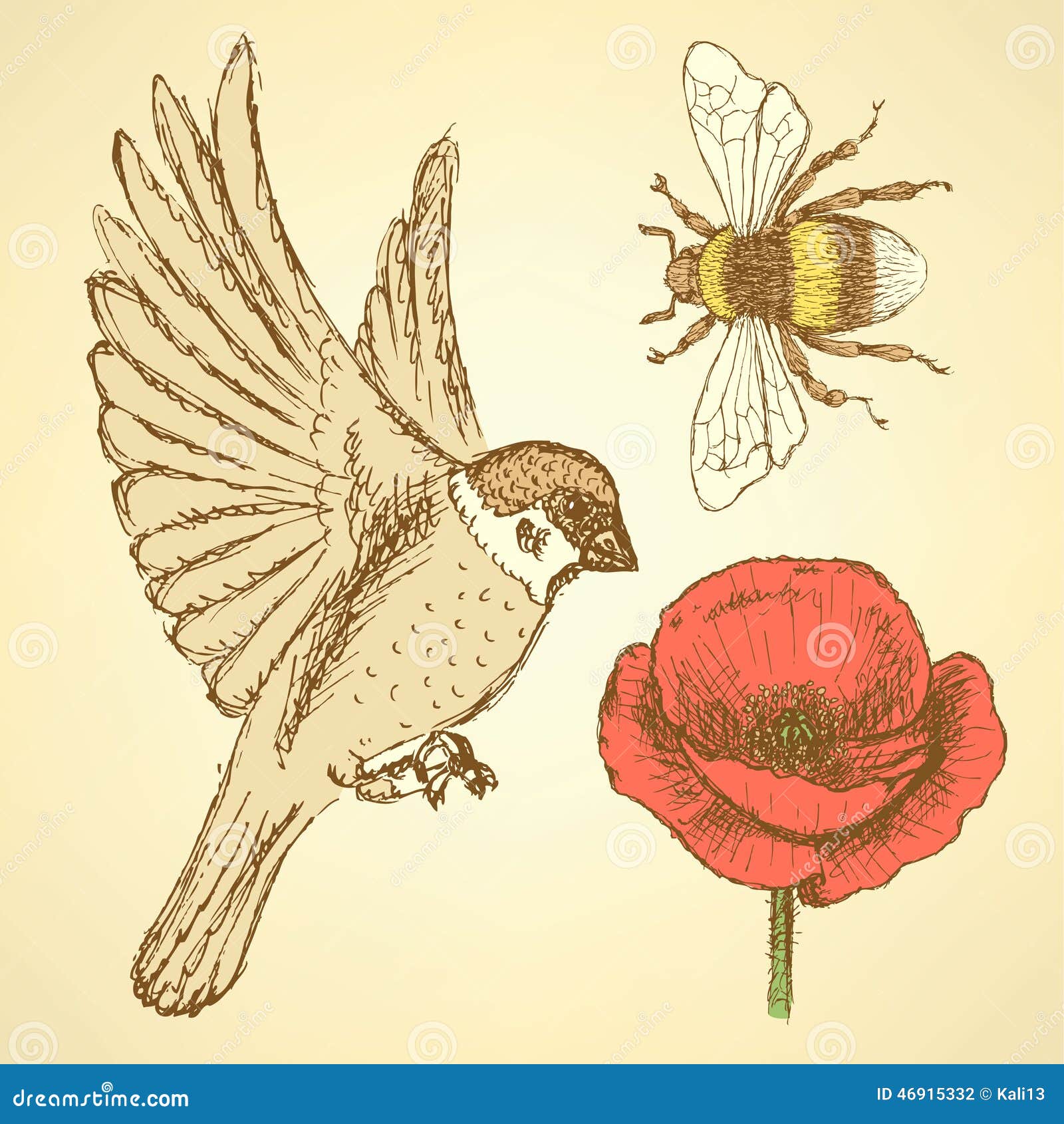 Sketch Poppy, Bee and Sparrow in Vintage Style Stock Vector ...