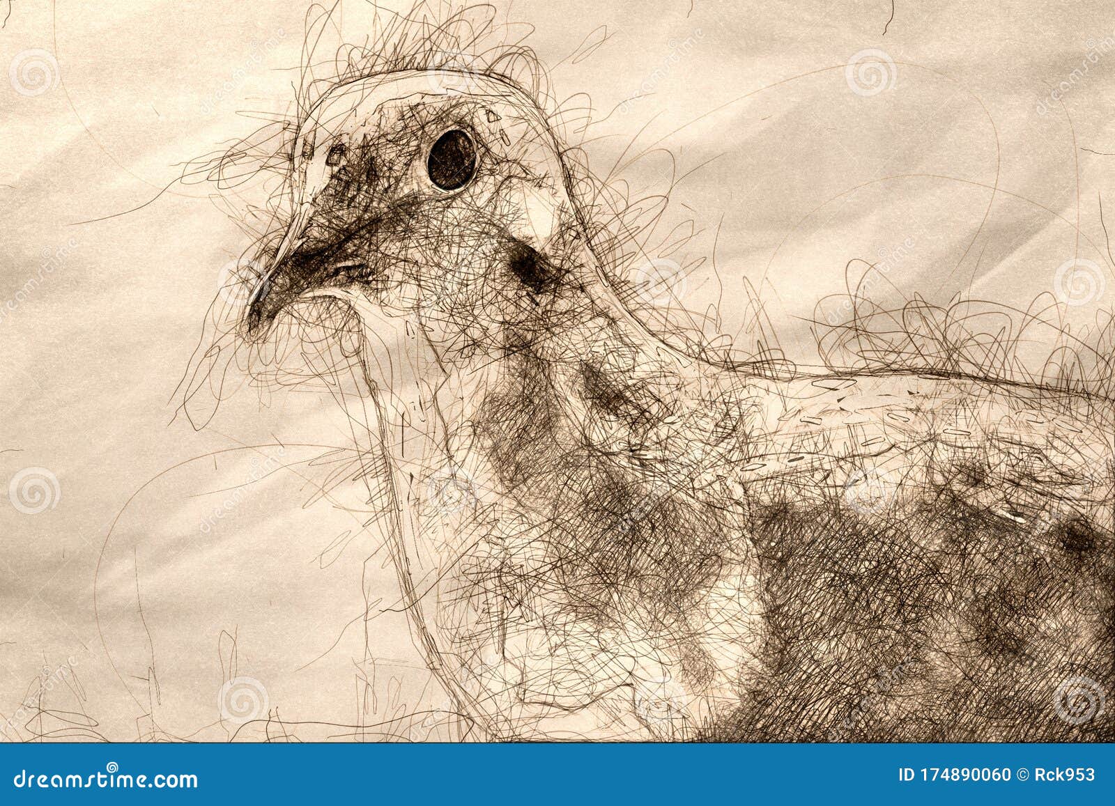 Sketch of a Profile of a Perched Mourning Dove Stock Illustration ...