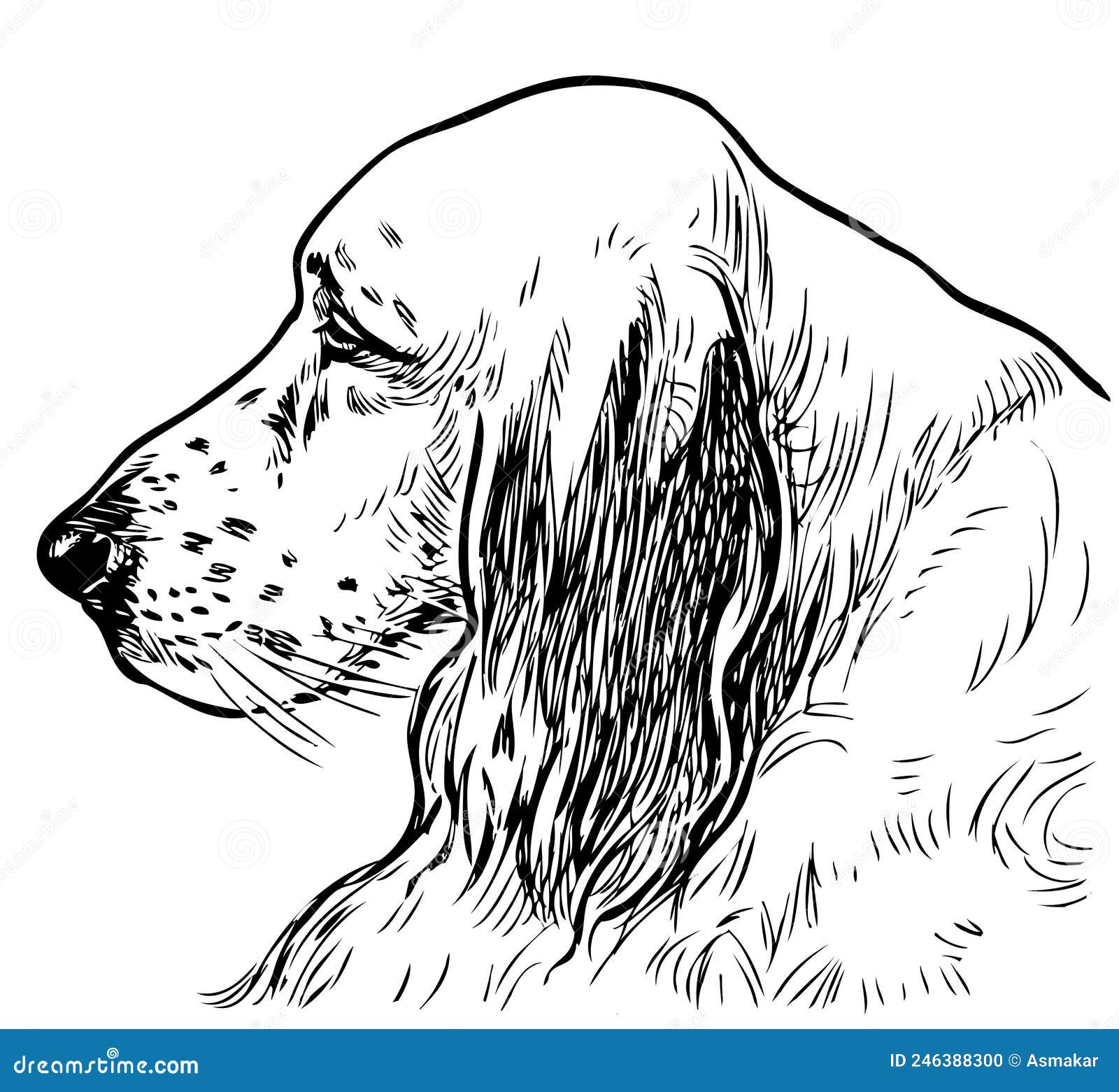 Sketch of Profile Portrait of Old Sad Spaniel Stock Vector ...