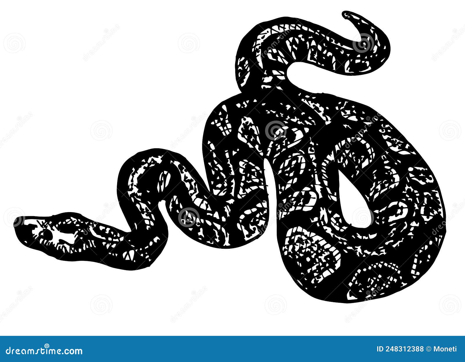 Boa Constrictor Isolated On White Background Stock Illustration ...