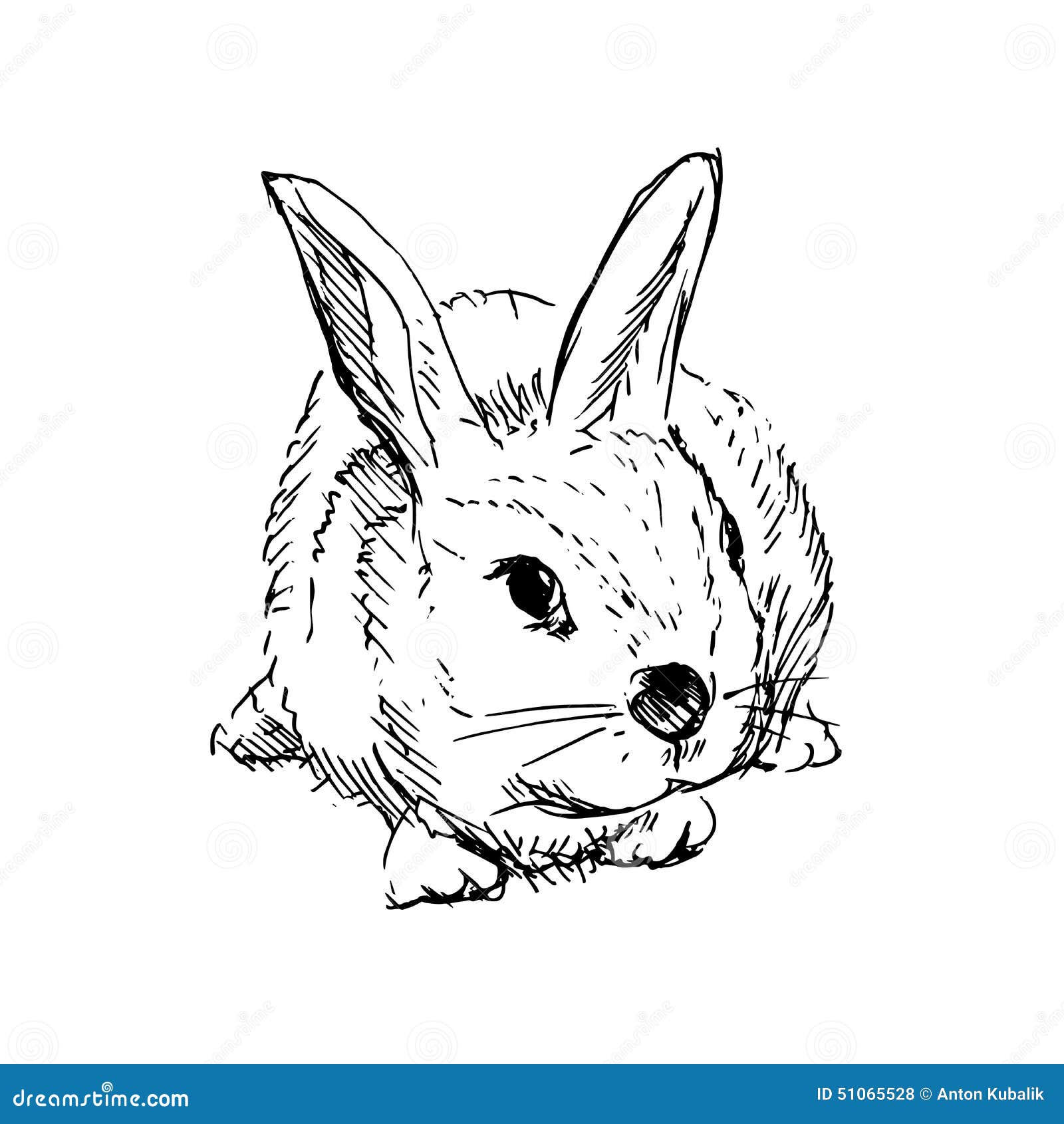 Sketch Of Rabbit Drawn By Hand. Animal Husbandry Cartoon Vector ...