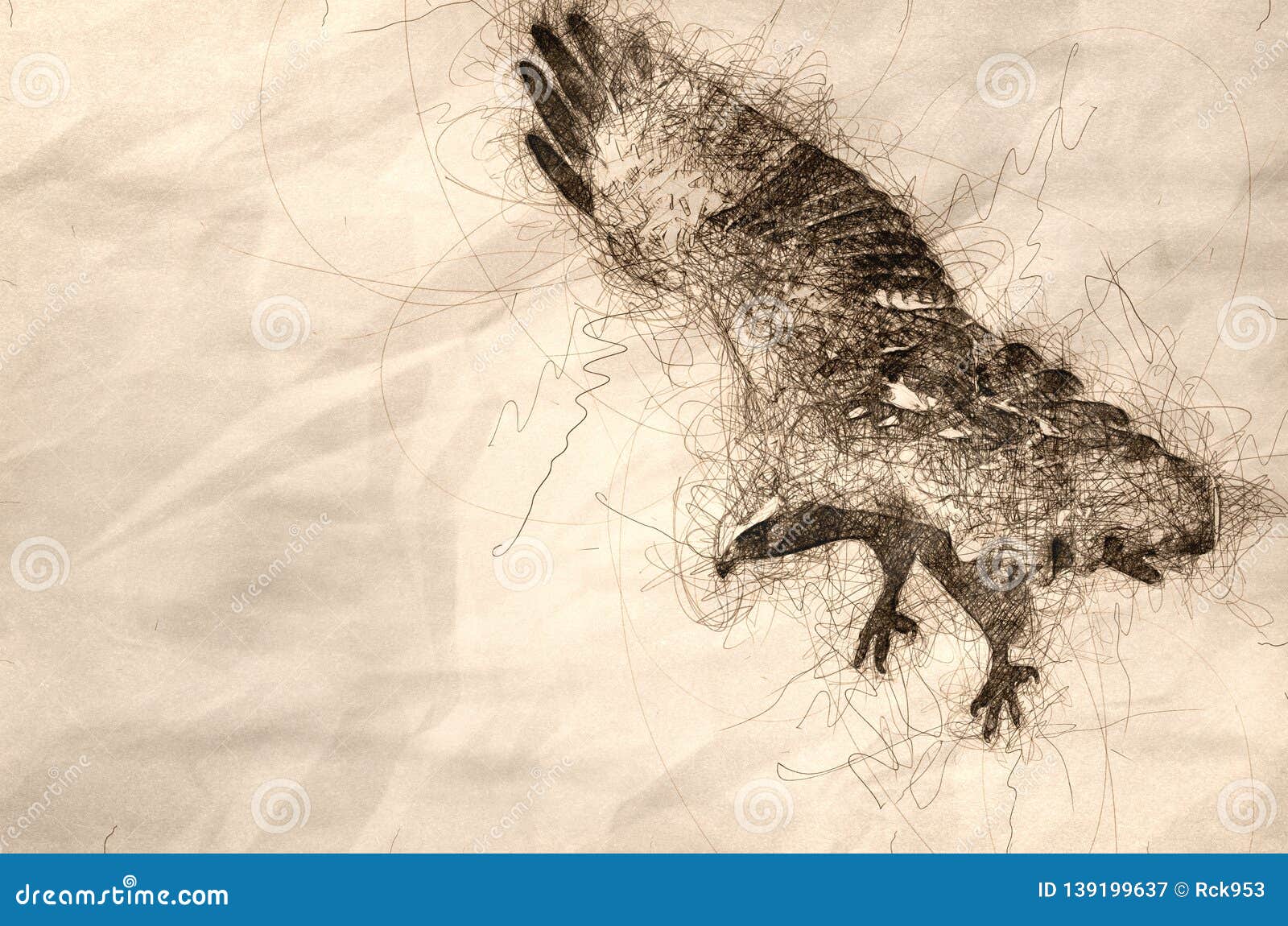 Sketch of a Red Tailed Hawk on the Hunt Stock Illustration ...