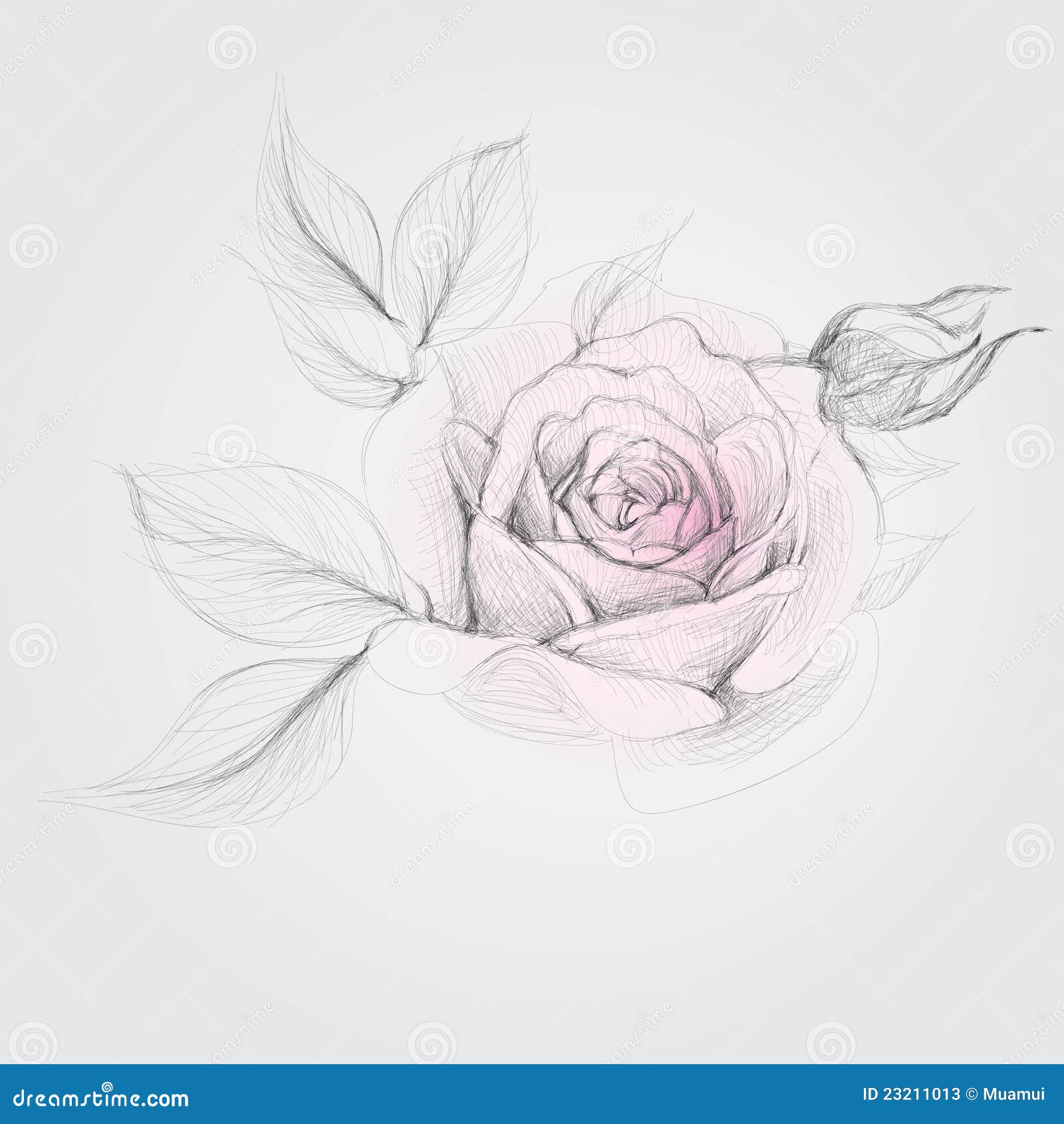 Sketch of ROSE stock vector. Illustration of plant, black - 23211013