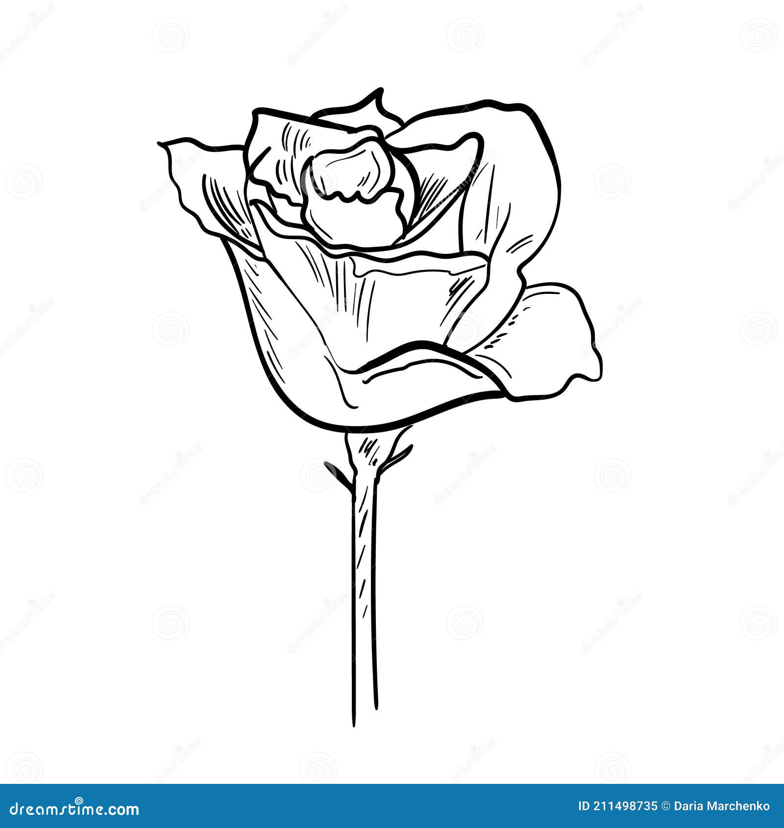 Sketch Rose Bud, Hand Drawn Rose. Vector Illustration Stock Vector ...