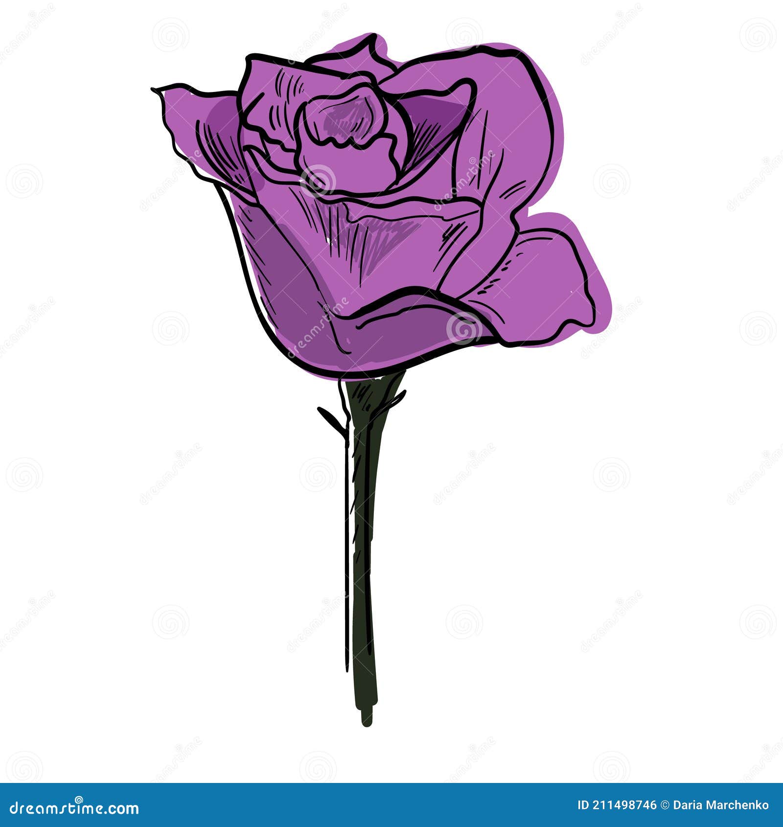 Sketch Rose Bud, Hand Drawn Rose. Vector Illustration Stock Vector ...