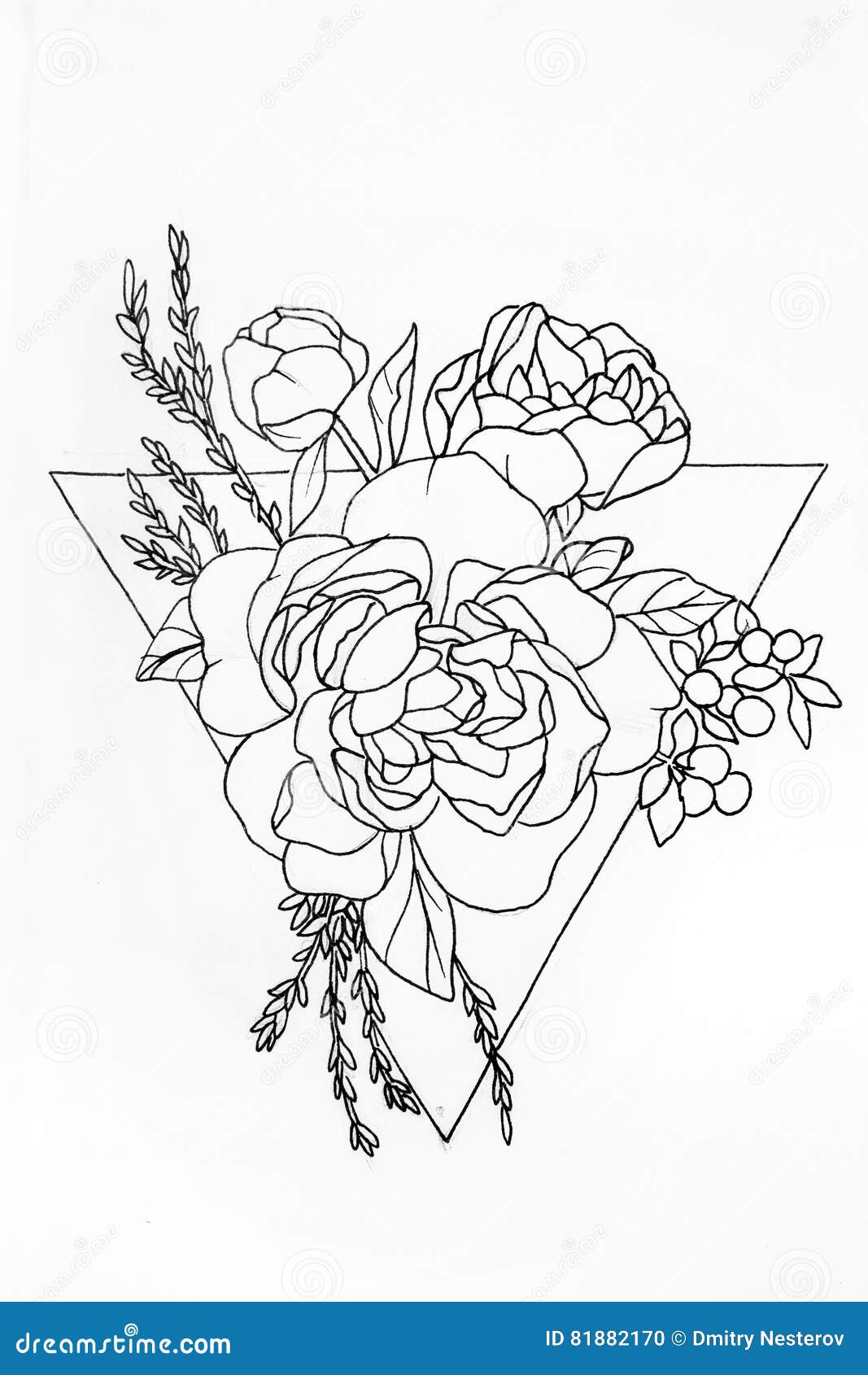 Sketch of a Rose in Triangle on White Background. Stock Illustration ...