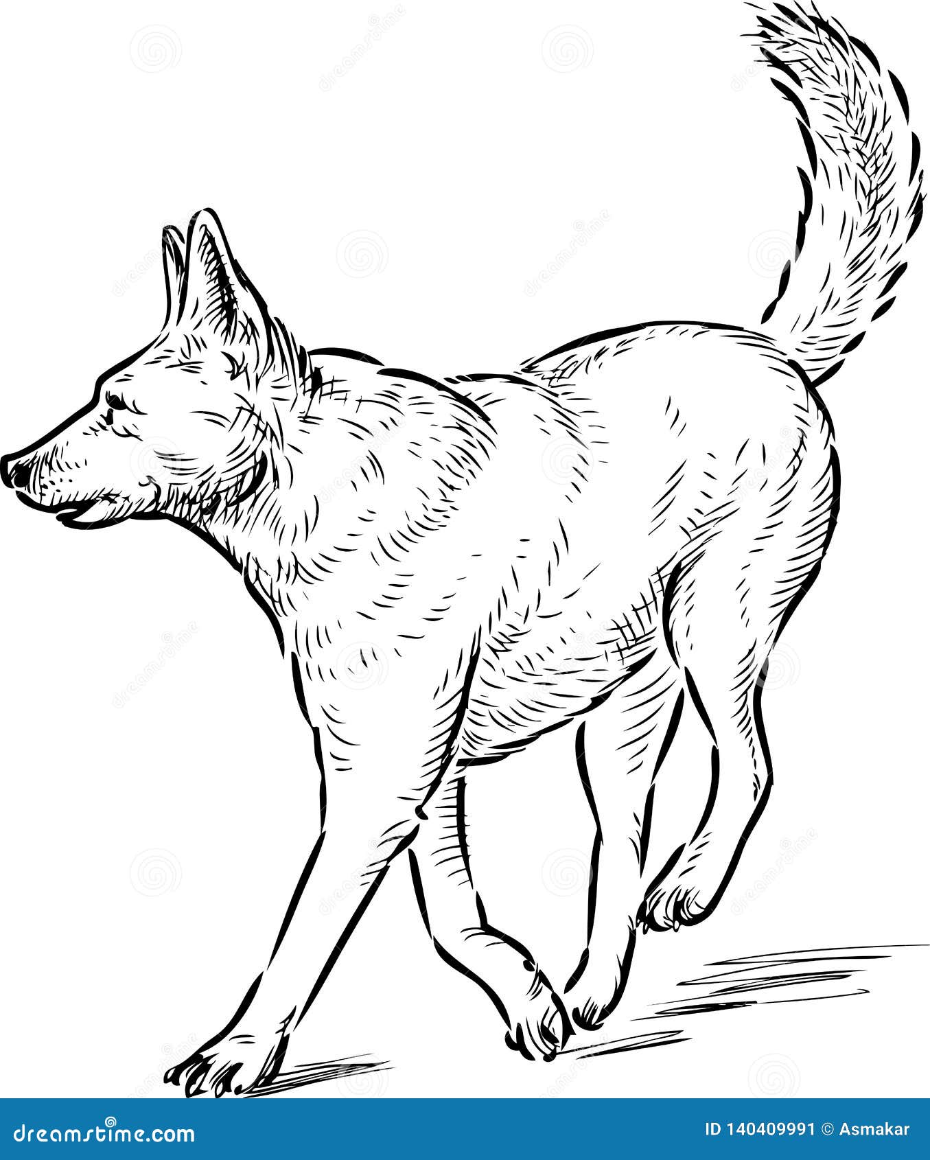 A Sketch of a Running Shepherd Dog Stock Vector - Illustration of ...