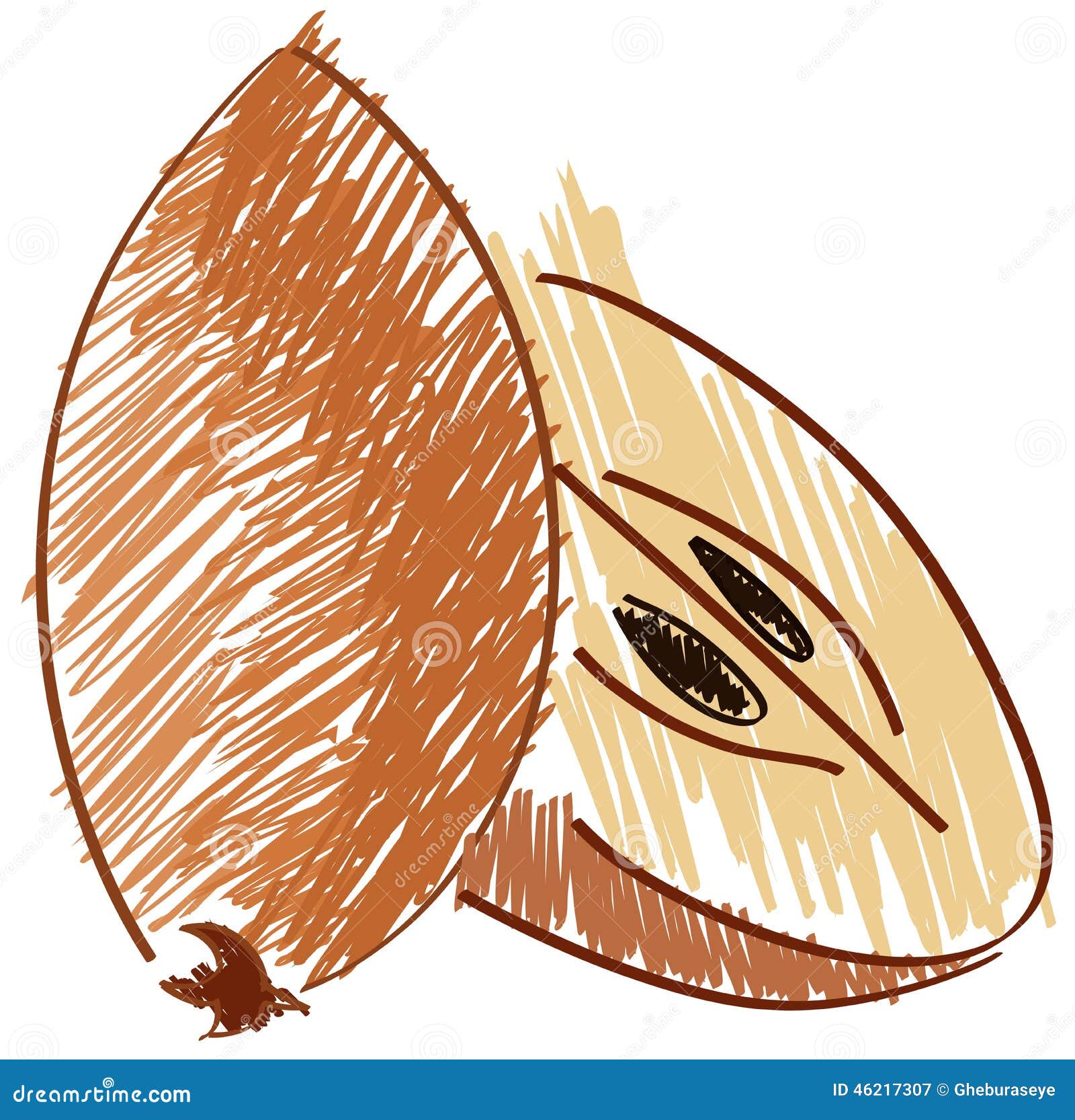 Sketch of a Sapodilla Isolated Illustration Stock Illustration ...