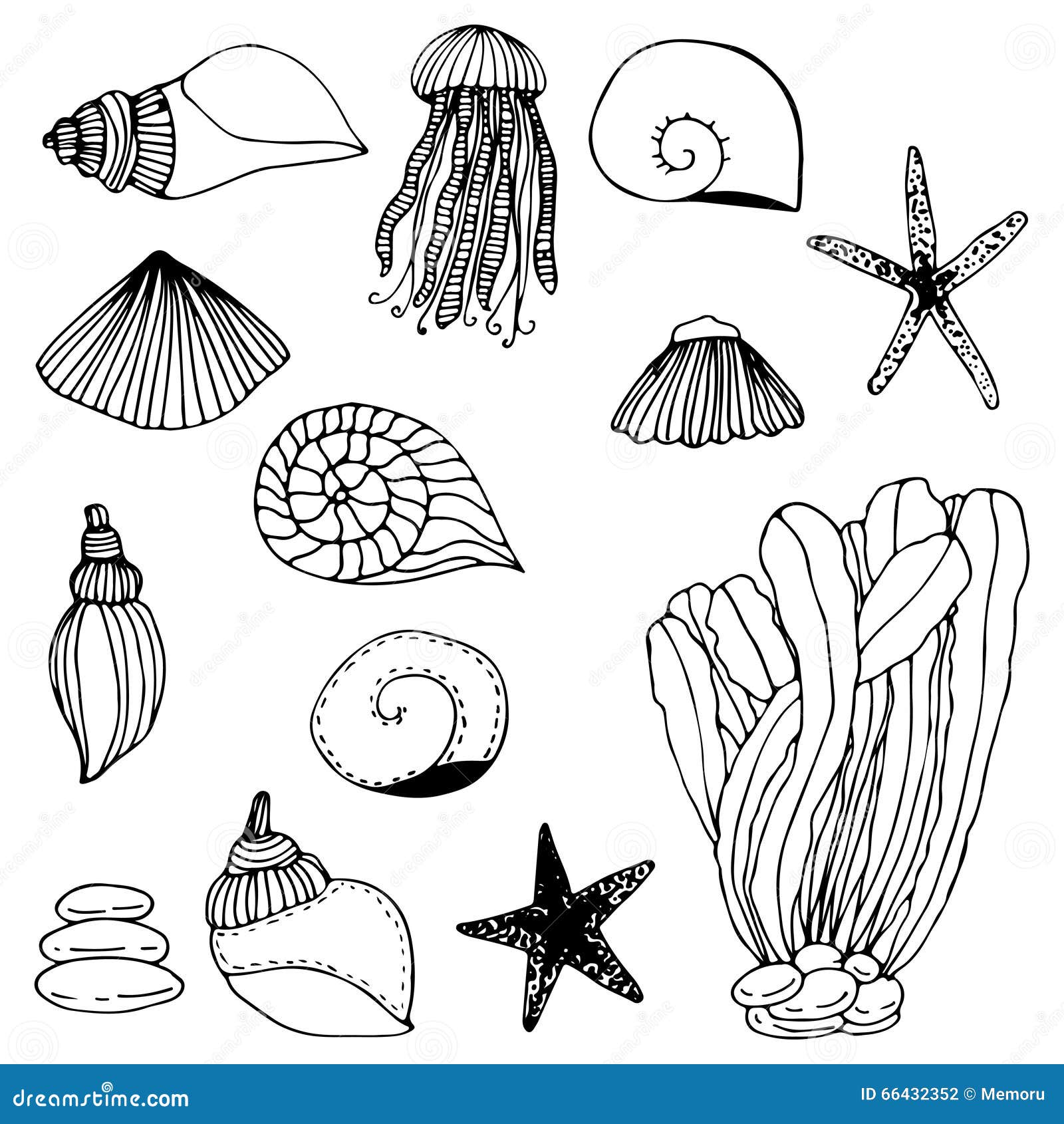 Sketch of Sea Life Elements. Stock Vector - Illustration of texture ...