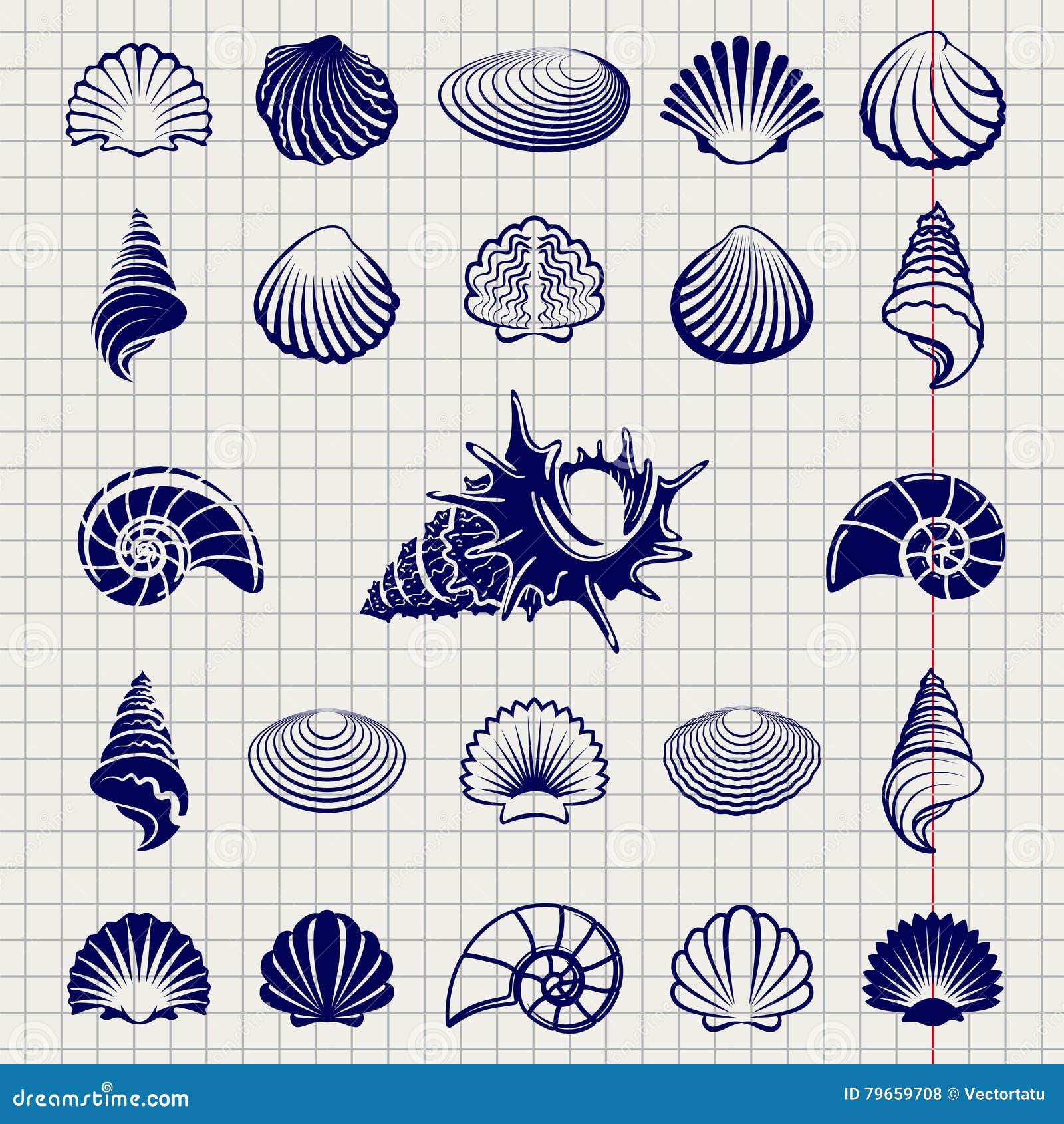 Sketch of sea shells stock vector. Illustration of bubbles - 79659708