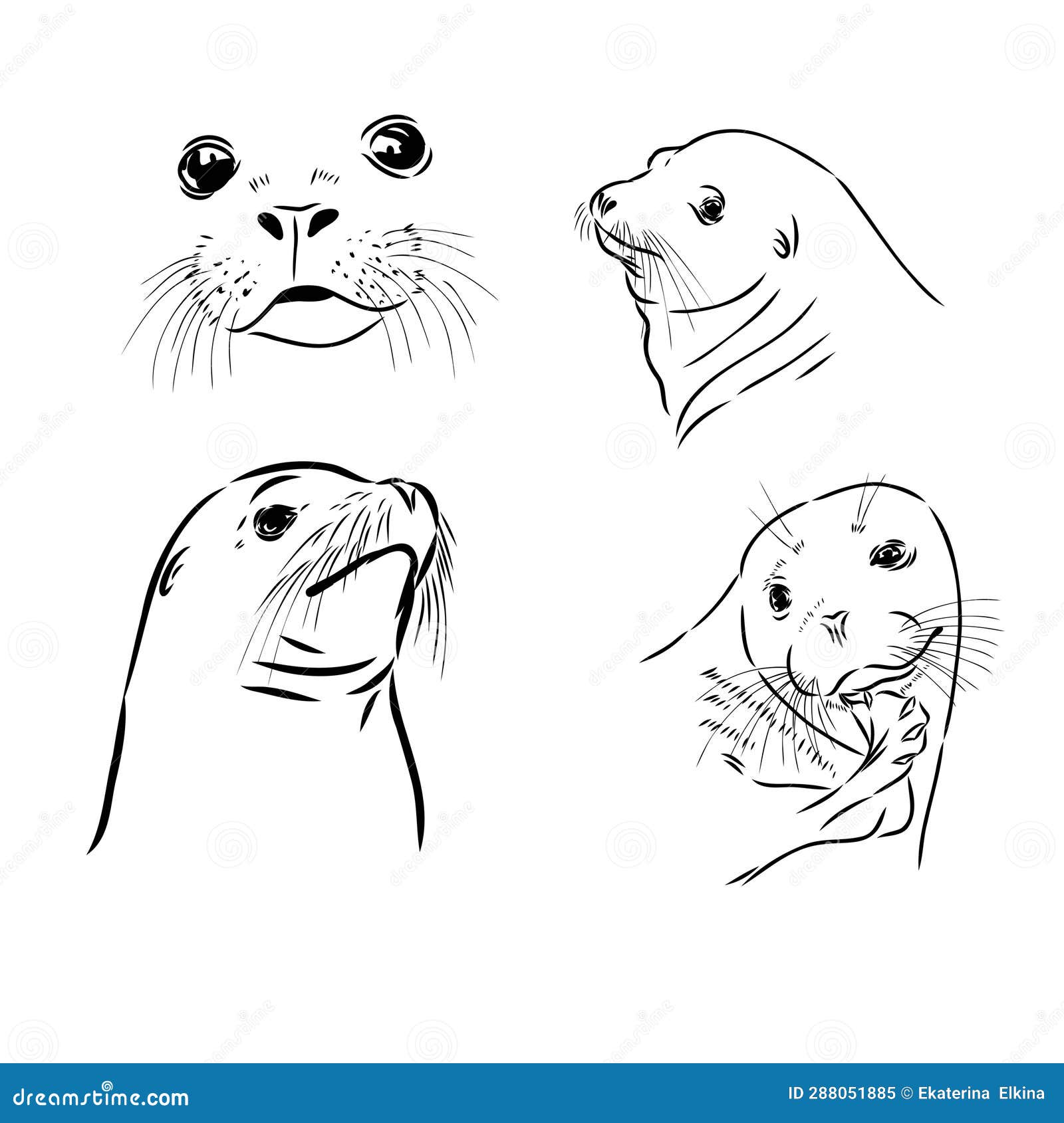 Sketch of a Seal . Hand Drawn Sketch Converted To Vector Stock Vector ...