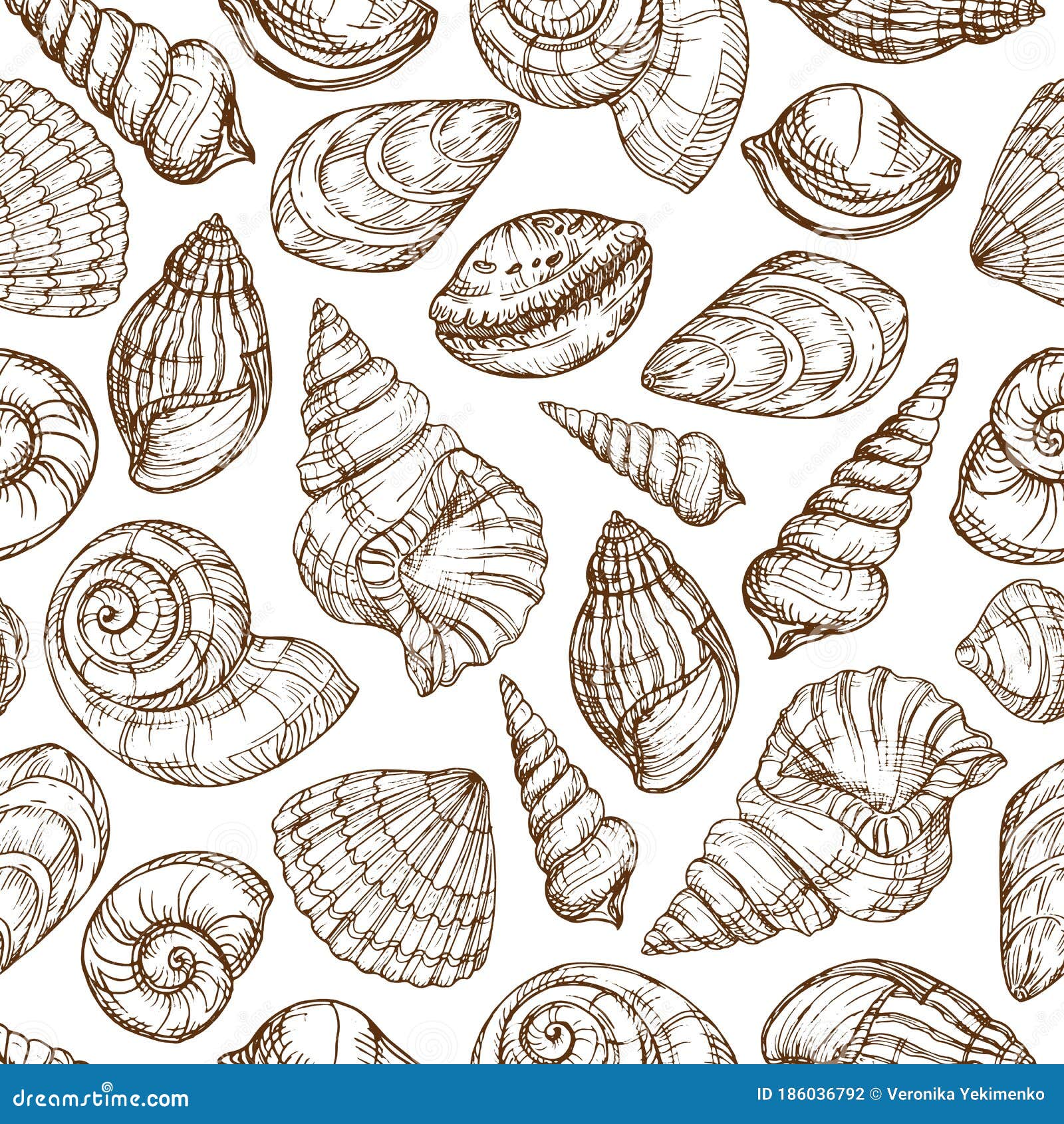 Sketch Shells Pattern. Hand Drawn Background in Engraving Style. Vector ...