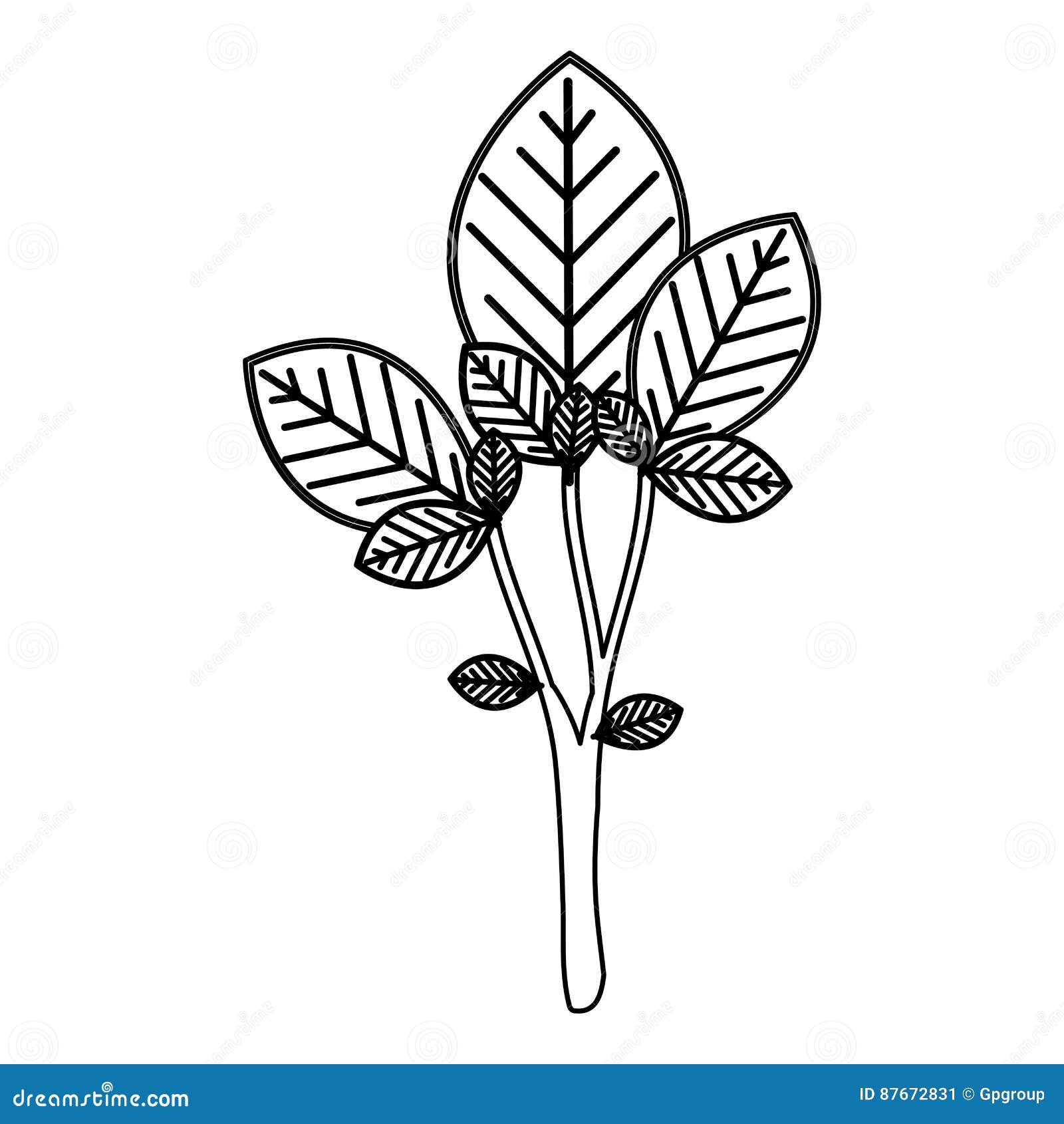 Sketch Silhouette Large Ramifications with Oval Leaves Stock ...