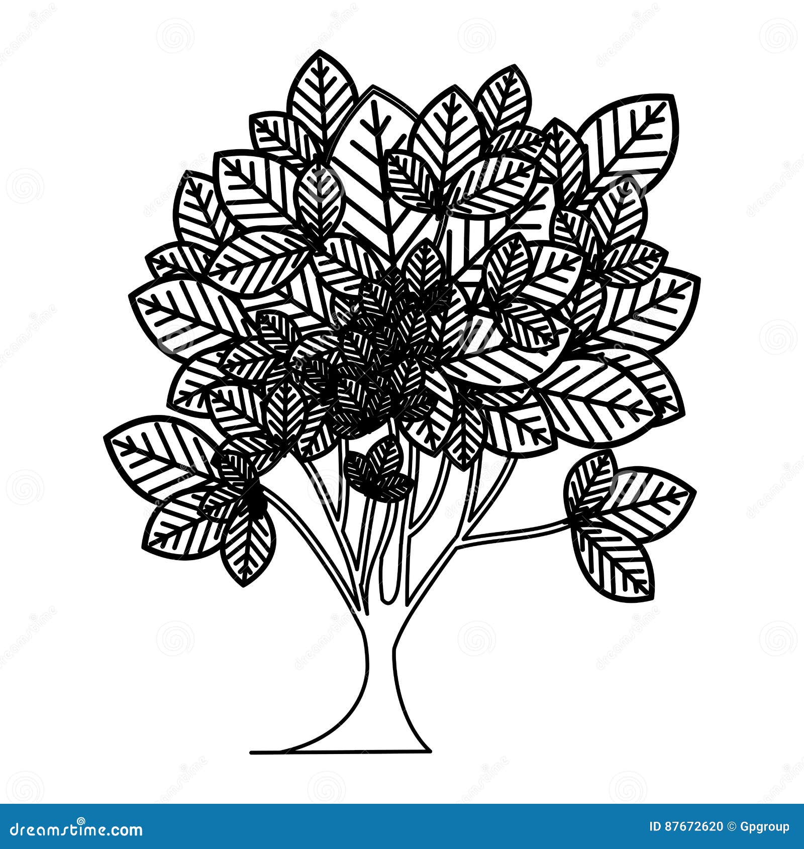 Sketch Silhouette Leafy Tree Plant with Ramifications Stock ...