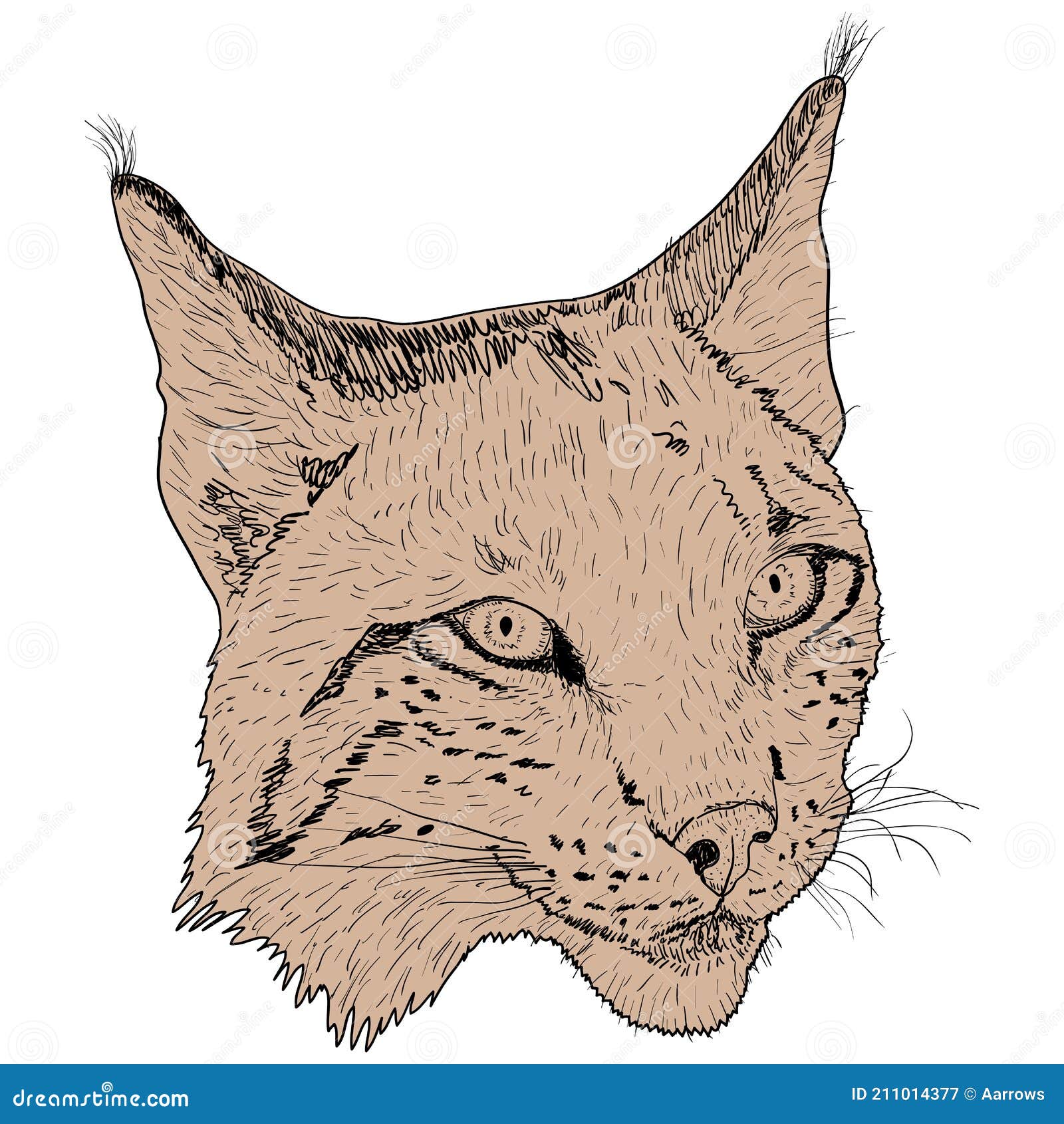Sketch Silhouette Sketch Lynx Face On White Background Illustration ...