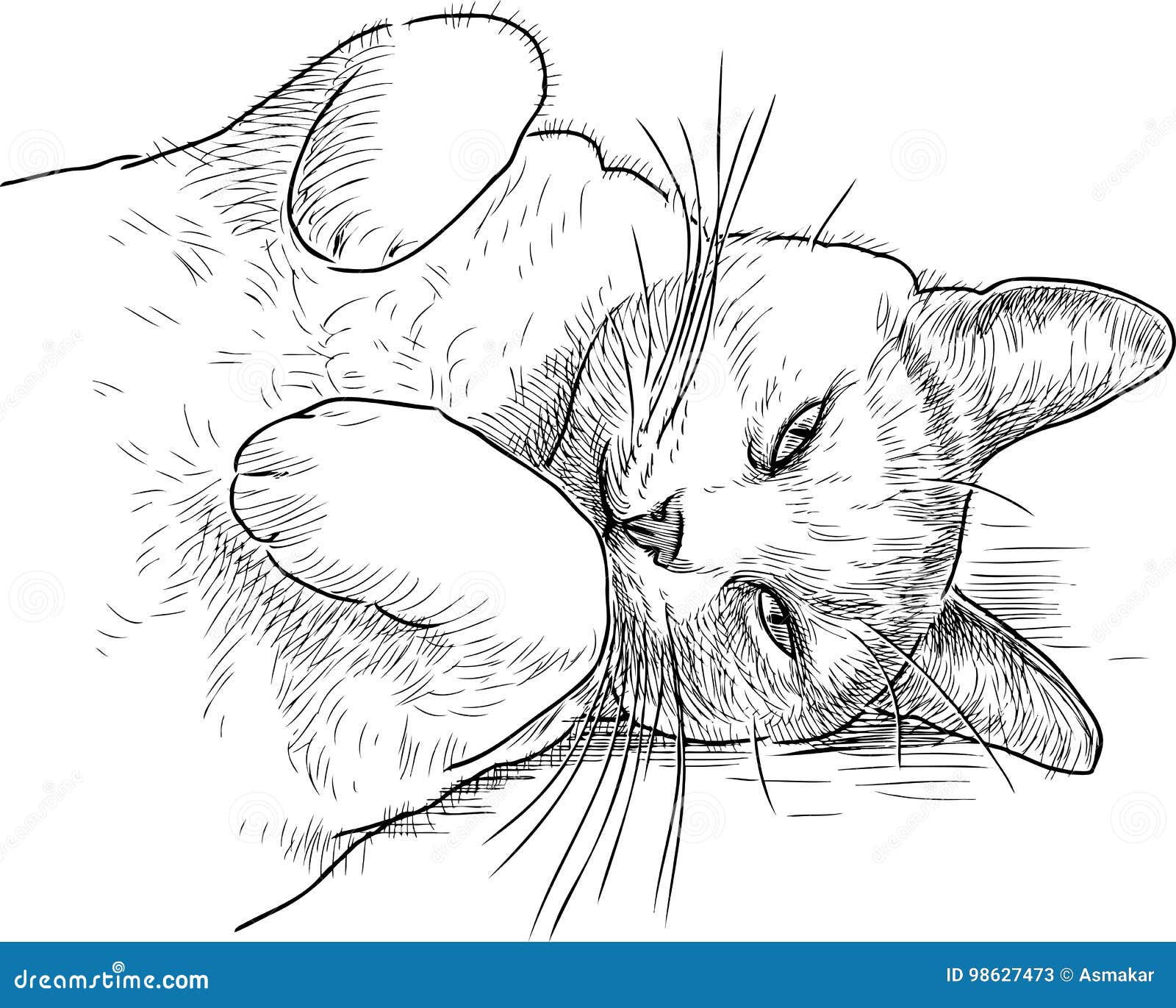 Sketch of a Sleepy Lazy Cat Stock Vector - Illustration of drawn ...