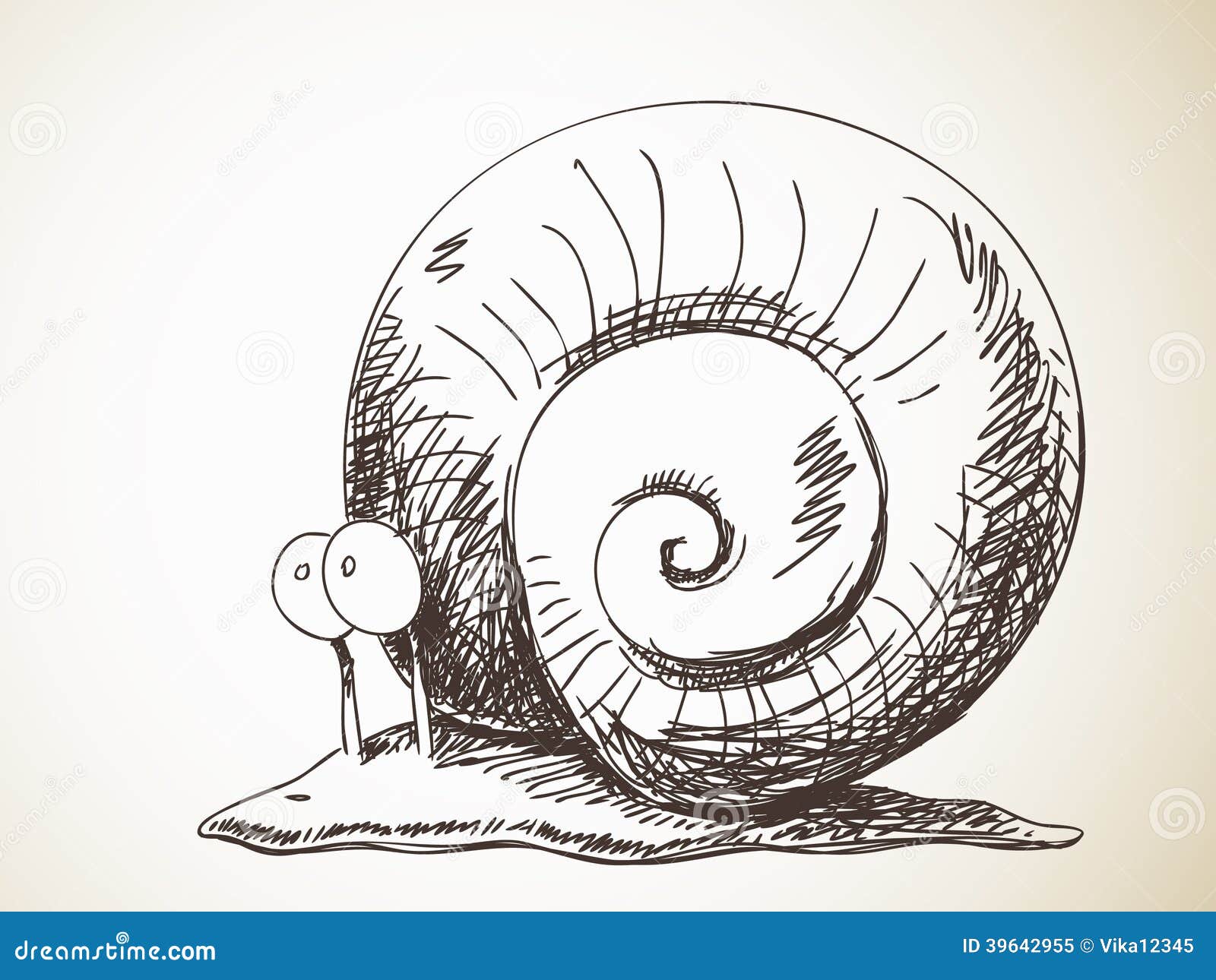 Sketch of snail stock vector. Illustration of animal - 39642955