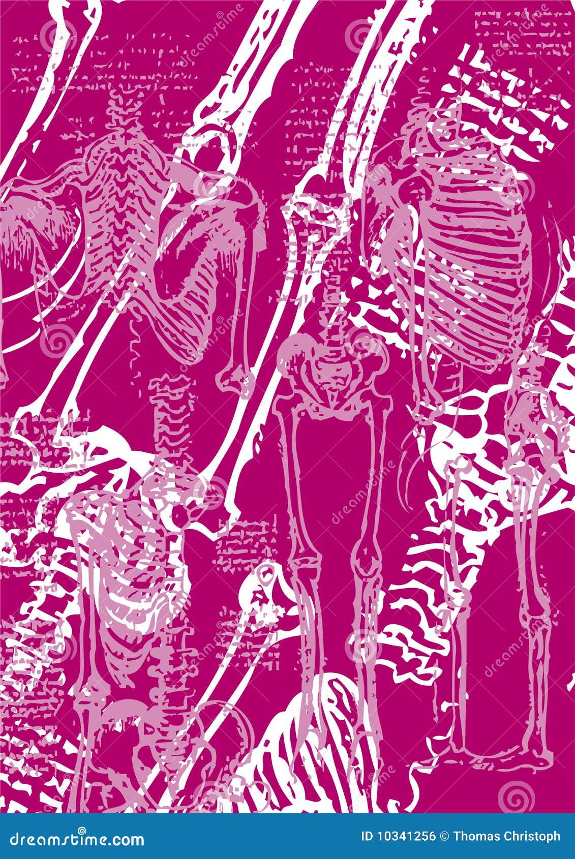Sketch of some bones, pink stock illustration. Illustration of body ...