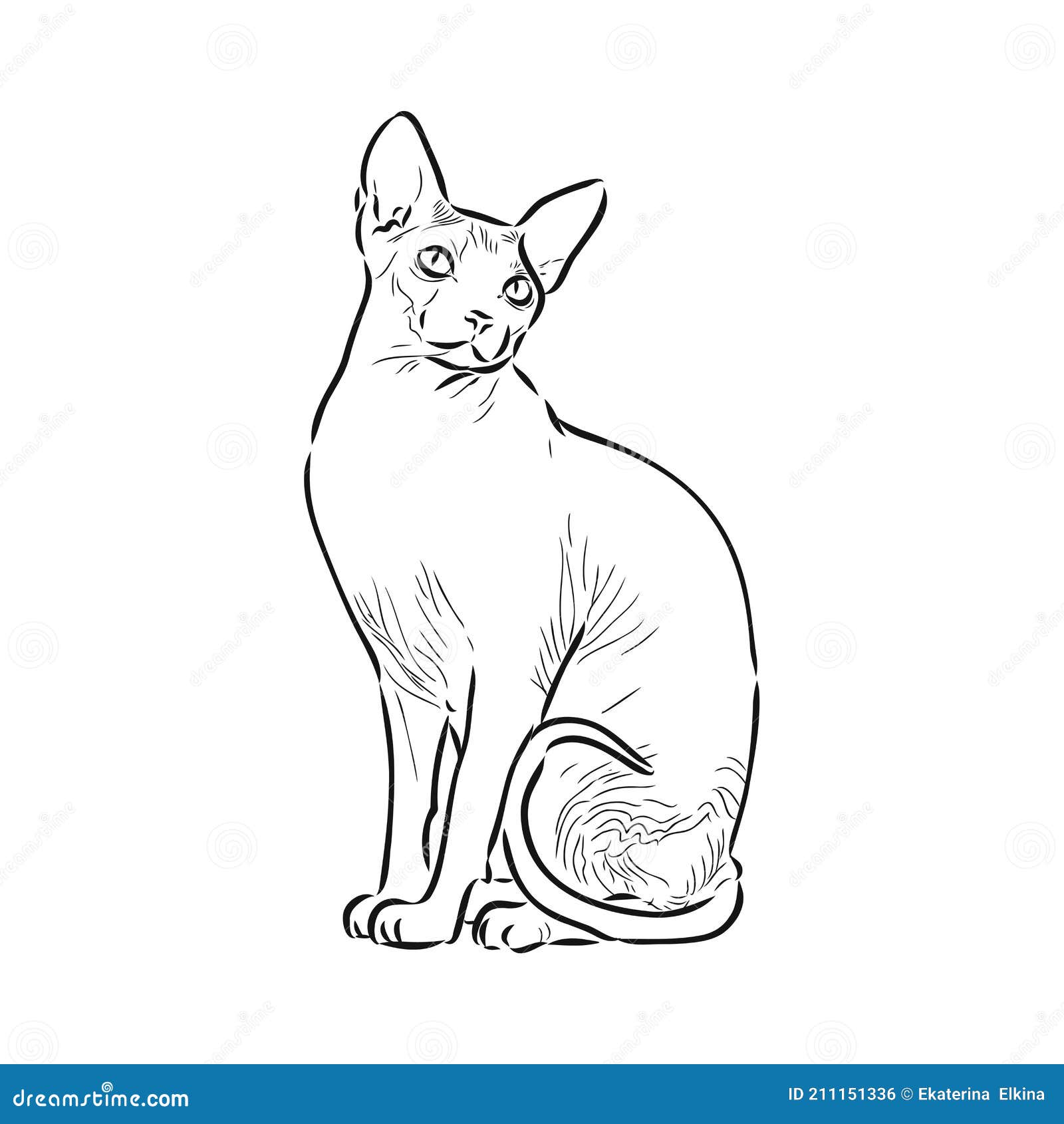 Sketch Cat Sphinx. Drawing By Hand. Vector Illustration | CartoonDealer ...
