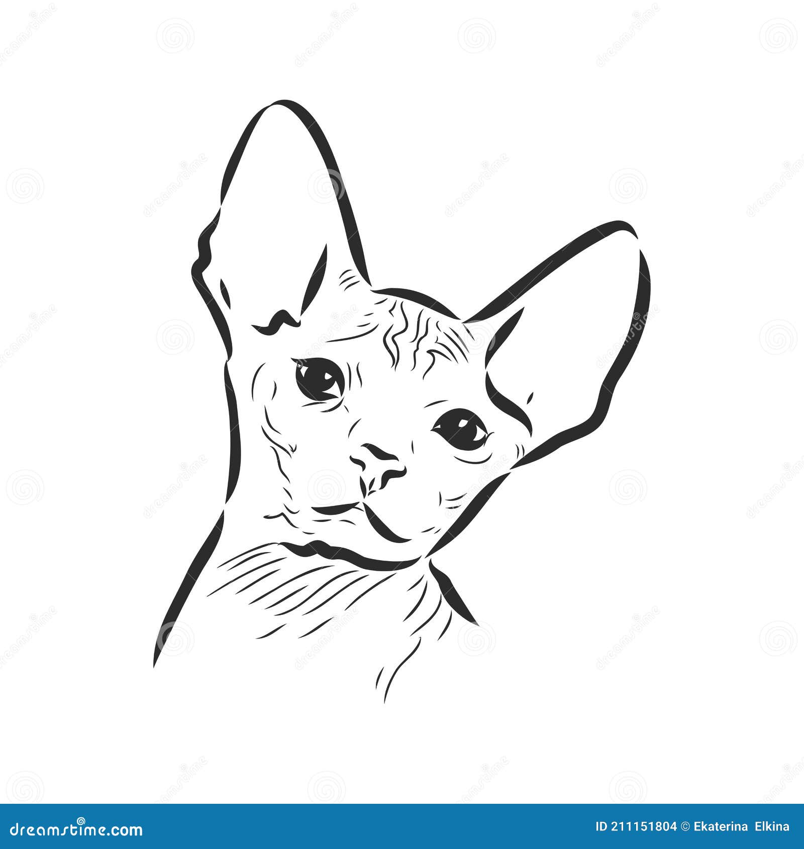Sketch Of A Sphinx Cat, Isolated, On A White Background. Sphinx Cat ...