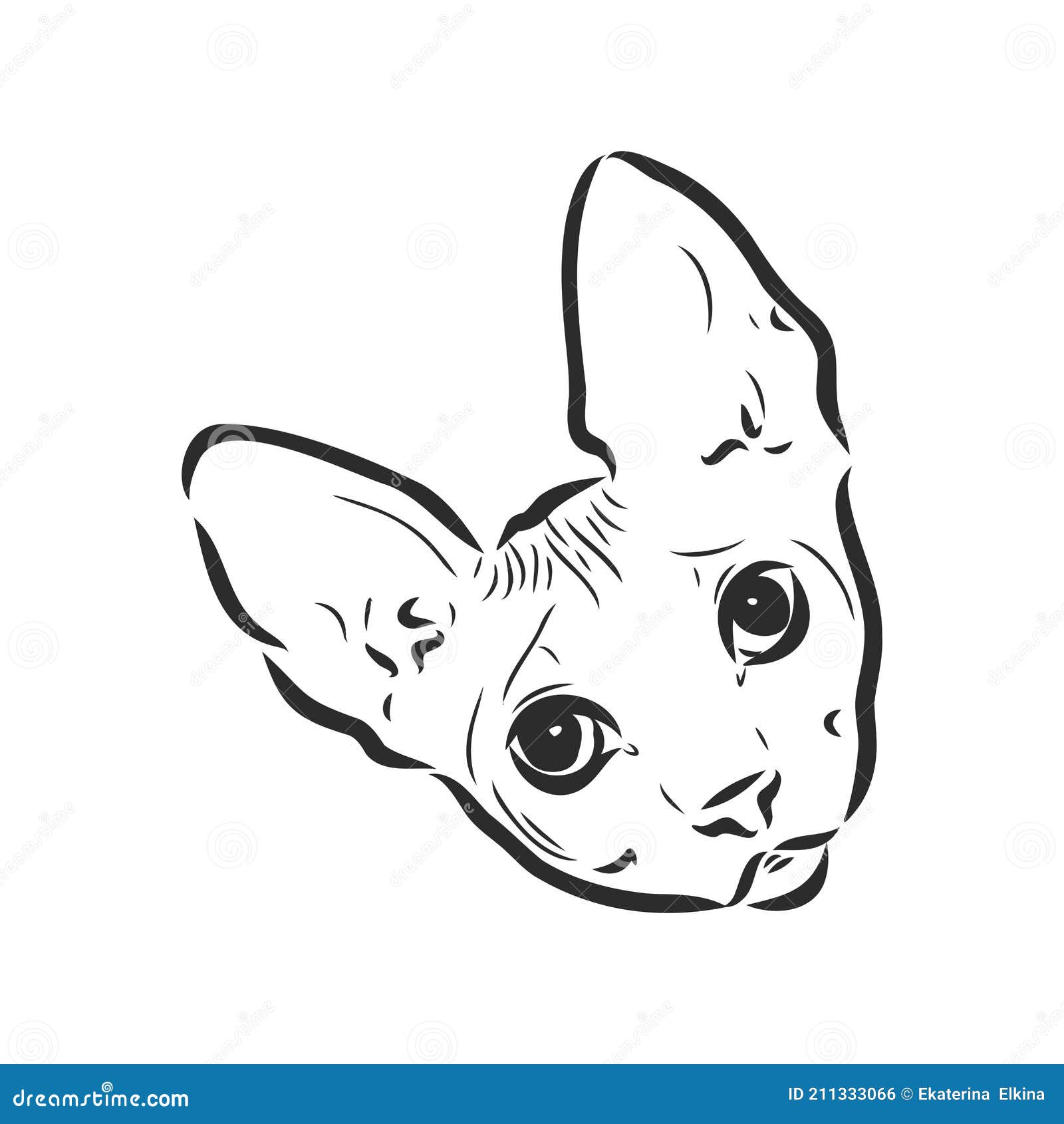 Sketch Of A Sphinx Cat, Isolated, On A White Background. Sphinx Cat ...