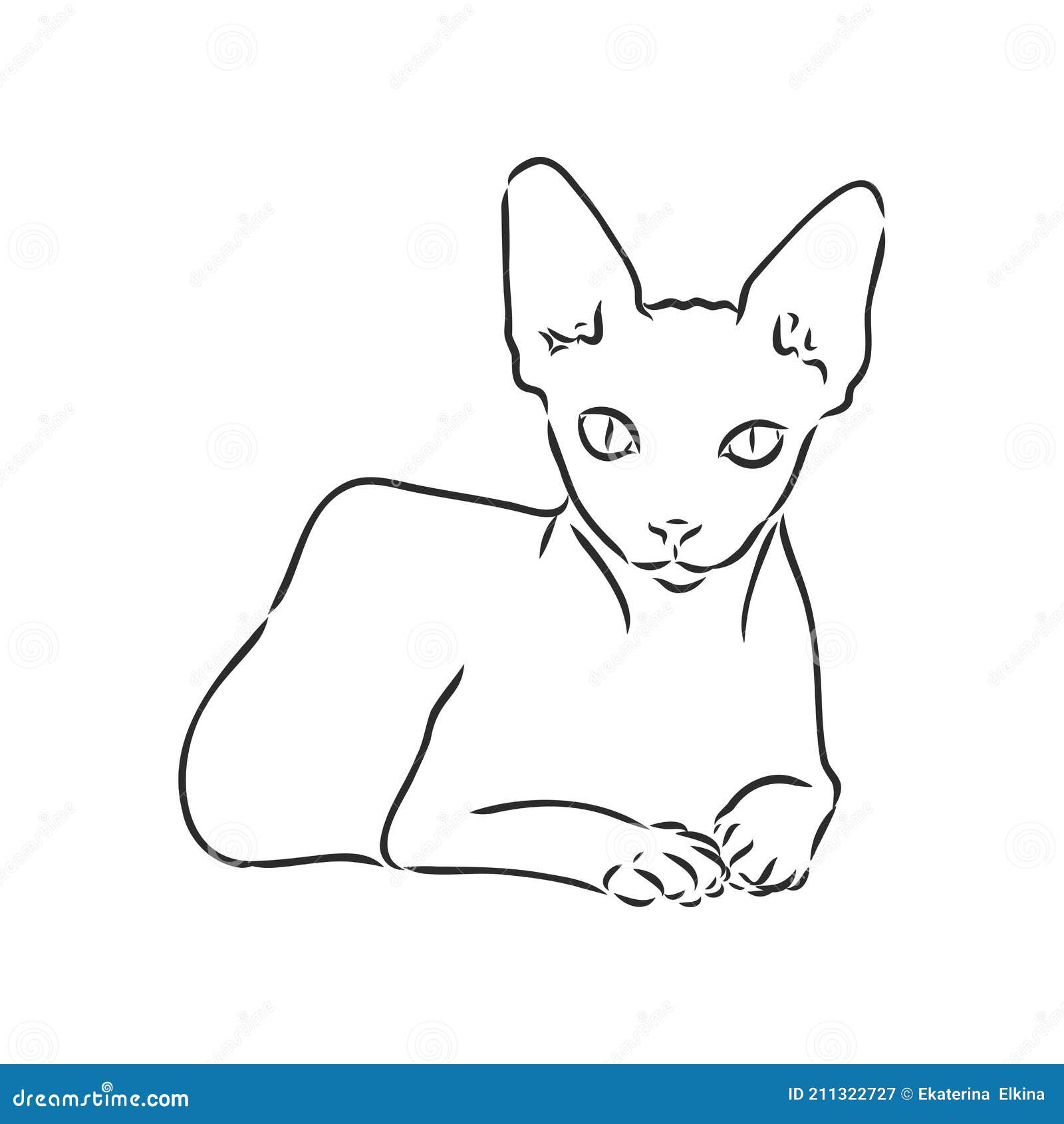 Sketch Of A Sphinx Cat, Isolated, On A White Background. Sphinx Cat ...