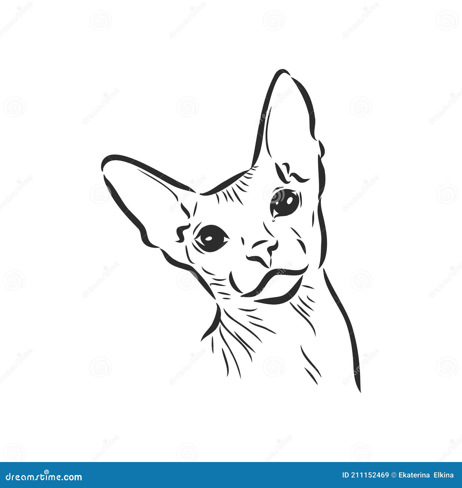 Sketch Cat Sphinx. Drawing By Hand. Vector Illustration | CartoonDealer ...