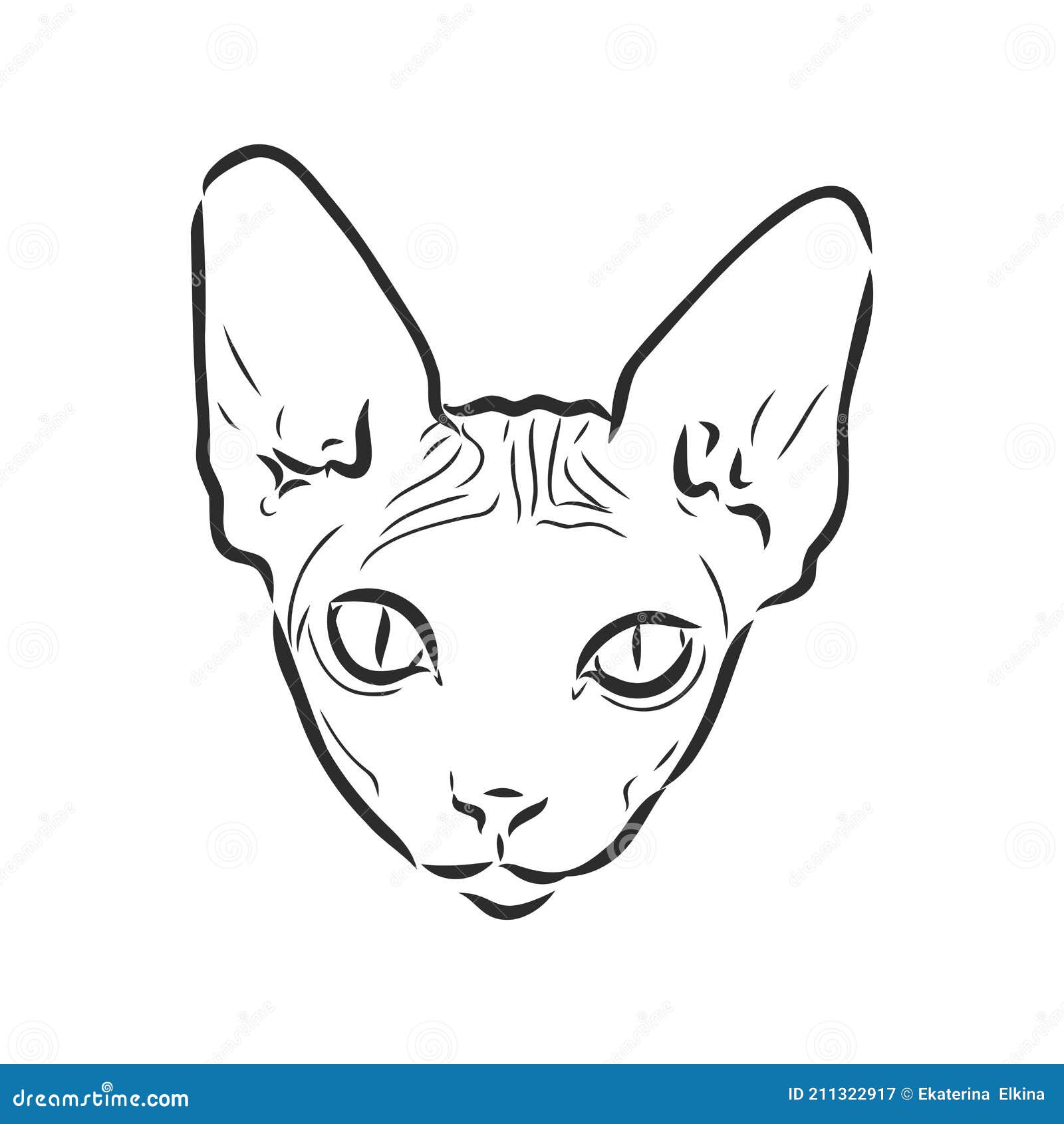 Sketch of a Sphinx Cat, Isolated, on a White Background. Sphinx Cat ...