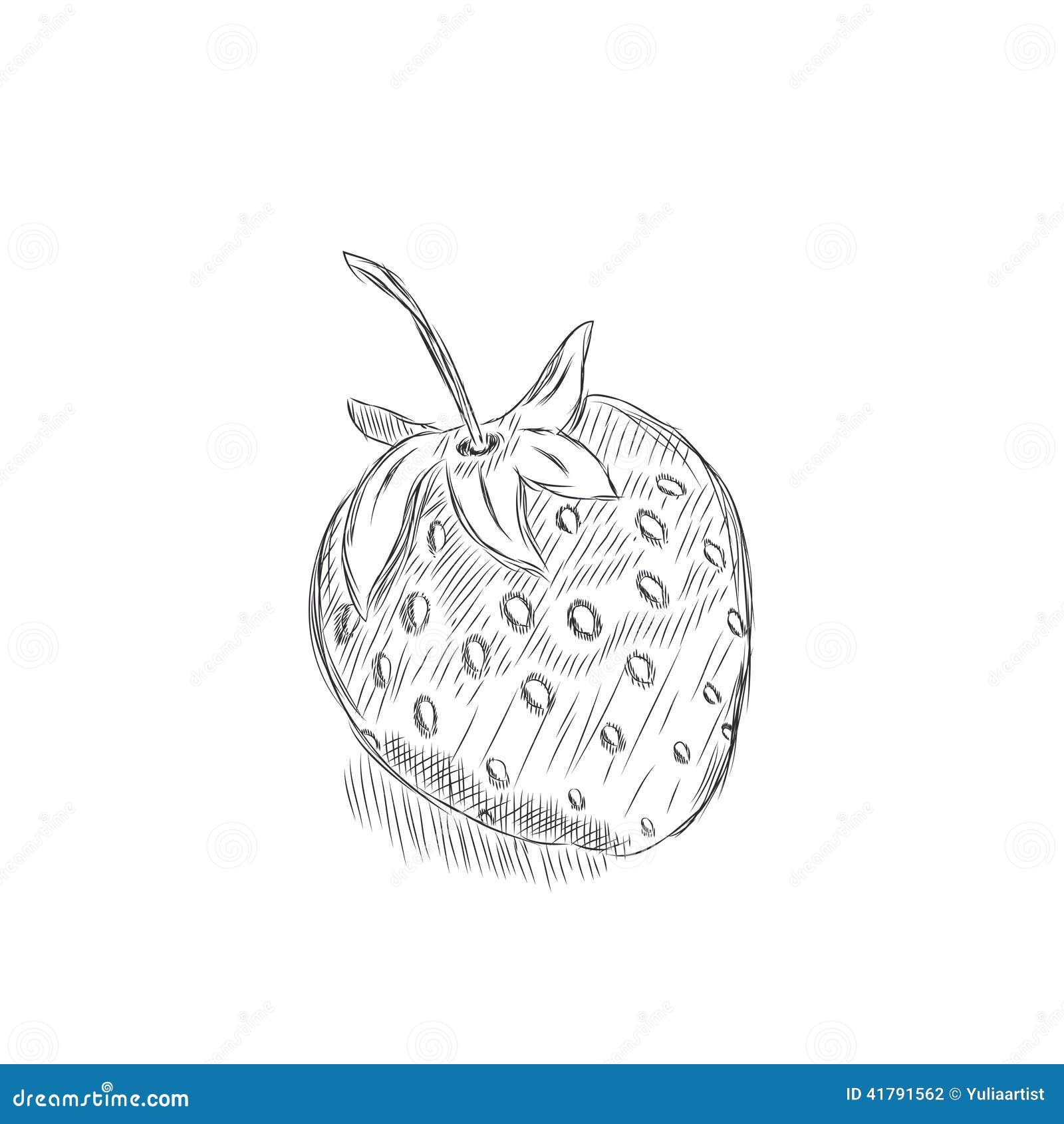 Sketch of a strawberry stock vector. Illustration of beauty - 41791562