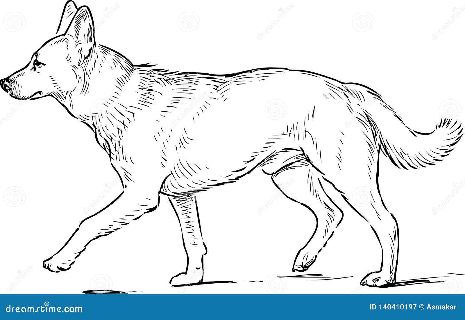 Sketch of a Striding Shepherd Dog Stock Vector - Illustration of ...