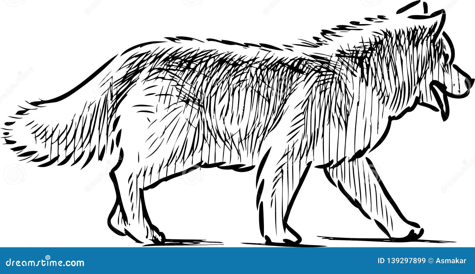 Sketch of a Strolling Guard Dog Stock Vector - Illustration of fluffy ...
