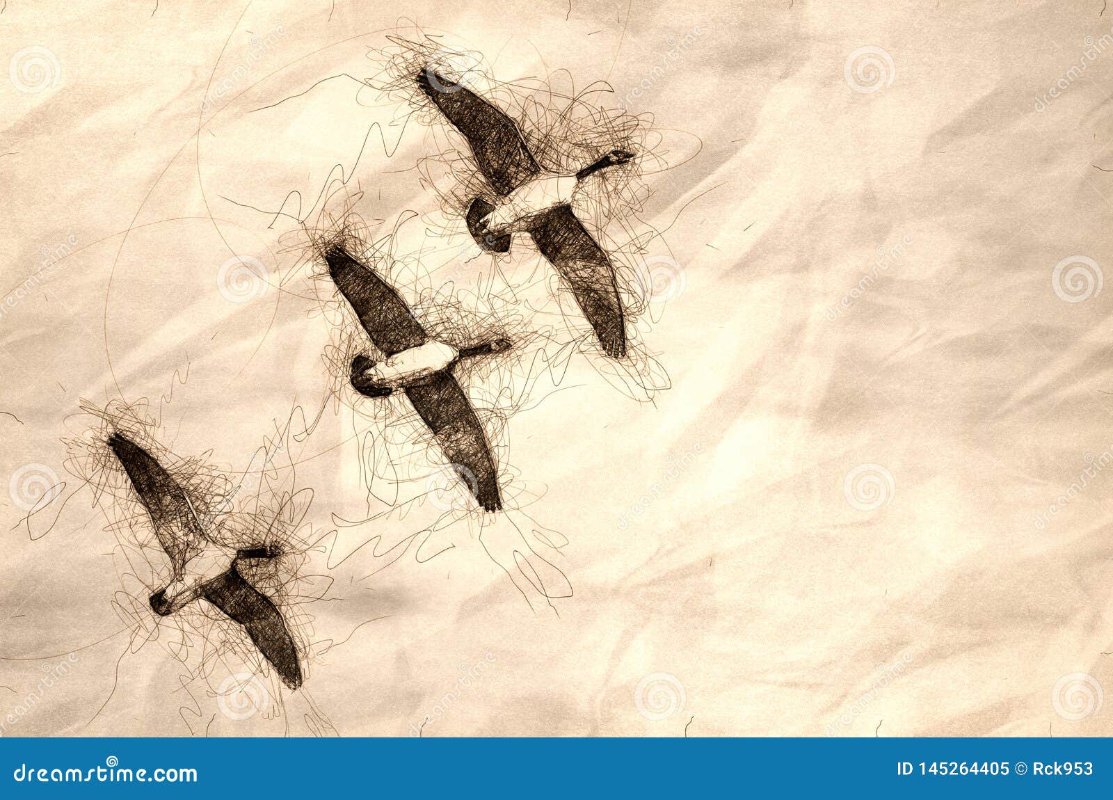 Sketch of Three Canada Geese Flying in a Blue Sky Stock Illustration ...