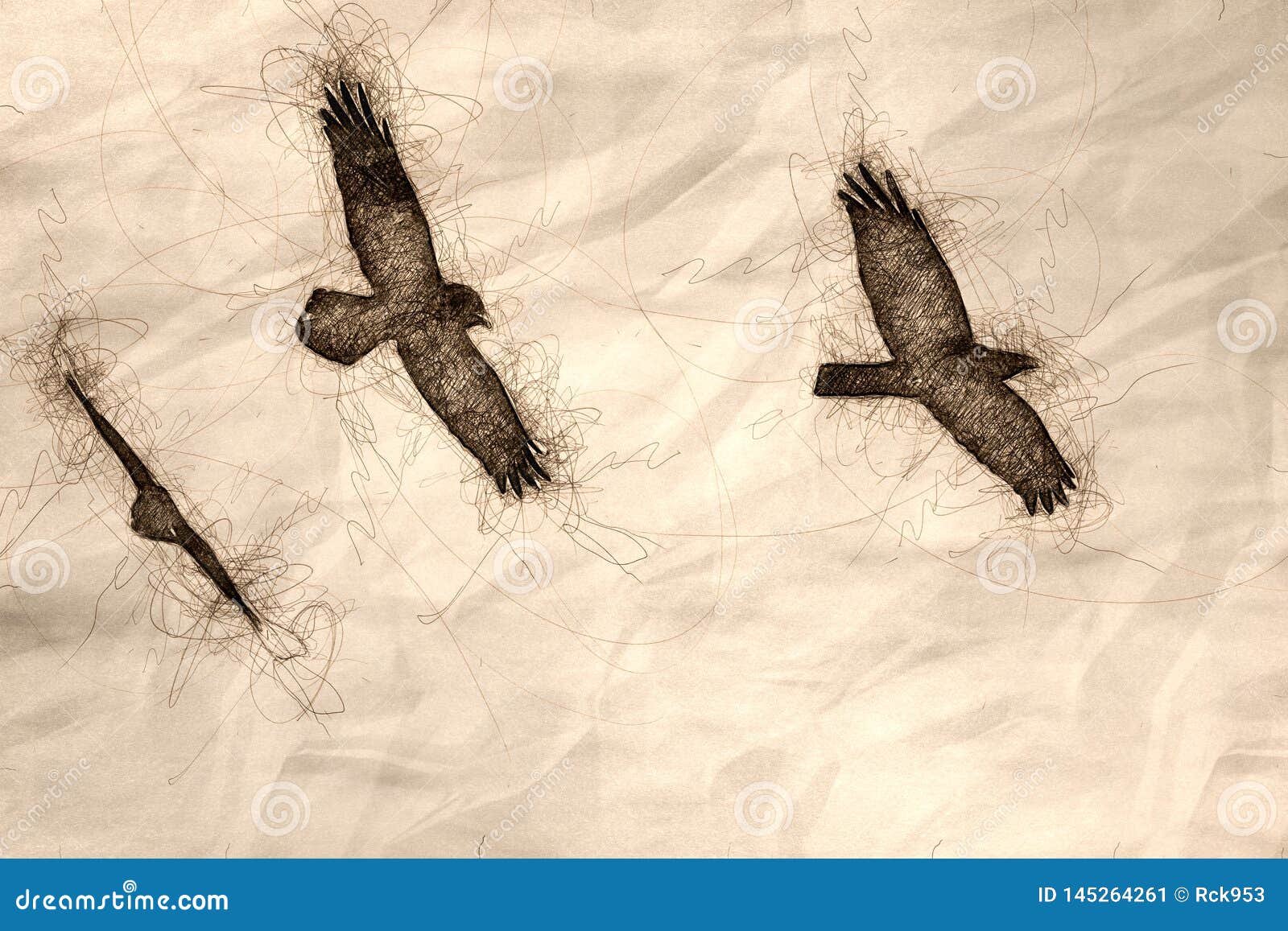 Three Common Moorhens Cartoon Vector | CartoonDealer.com #98236565