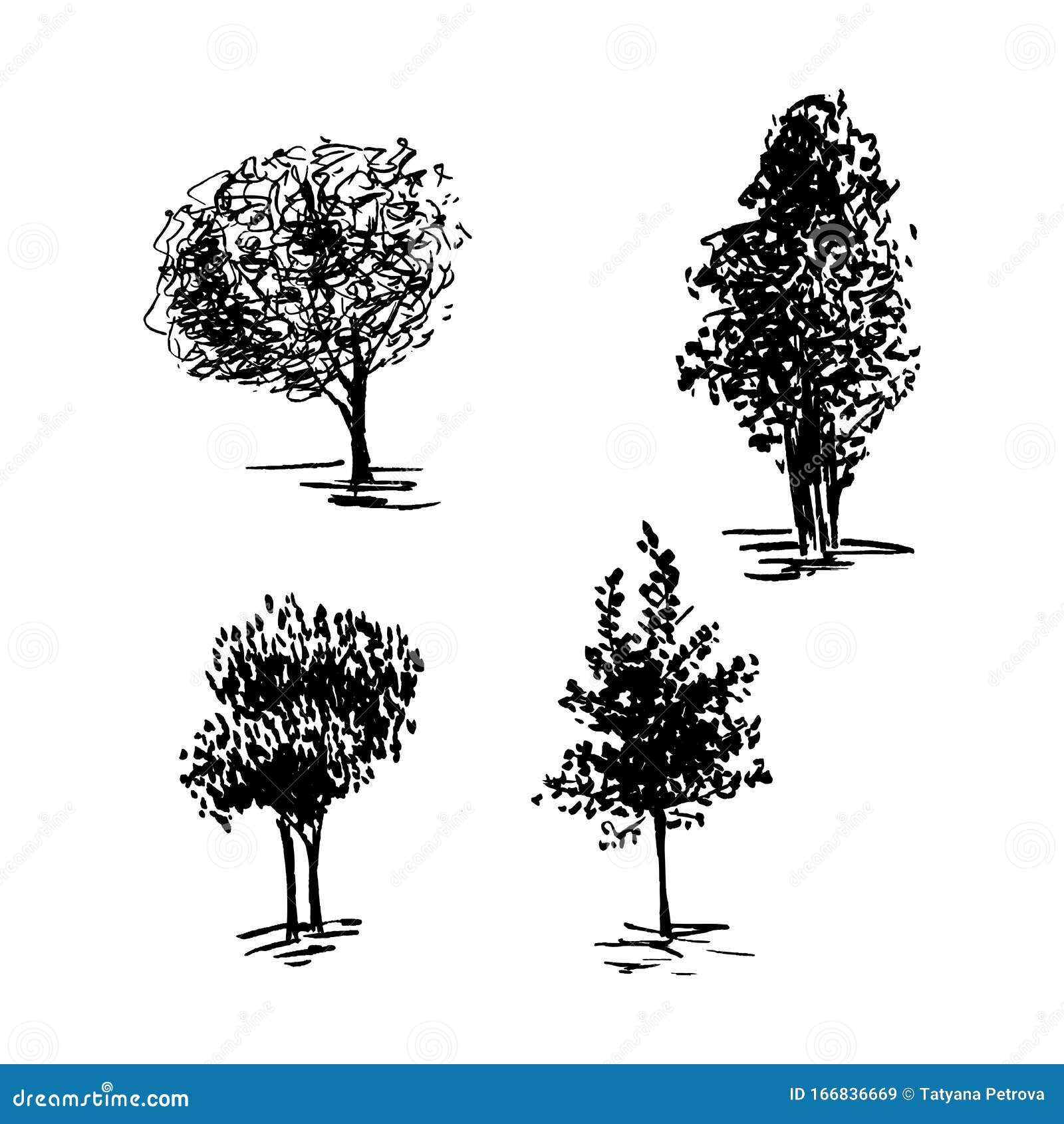 Sketch Trees, Set Of Hands Drawn Silhouette Trees, Vector Illustration ...
