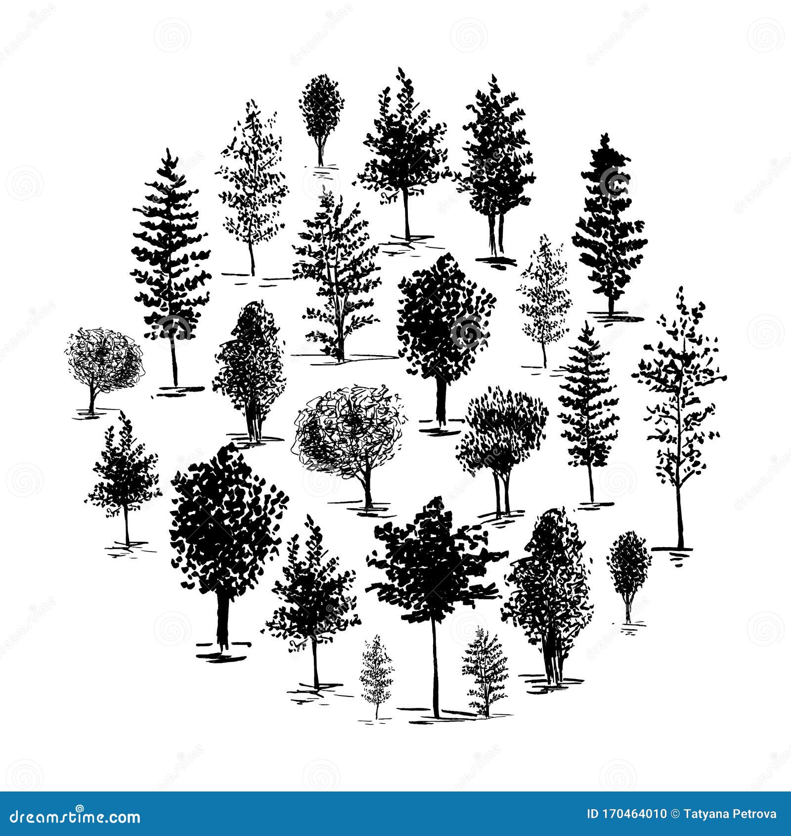 Sketch Trees, Set of Hands Drawn Silhouette Trees, Vector Illustration ...