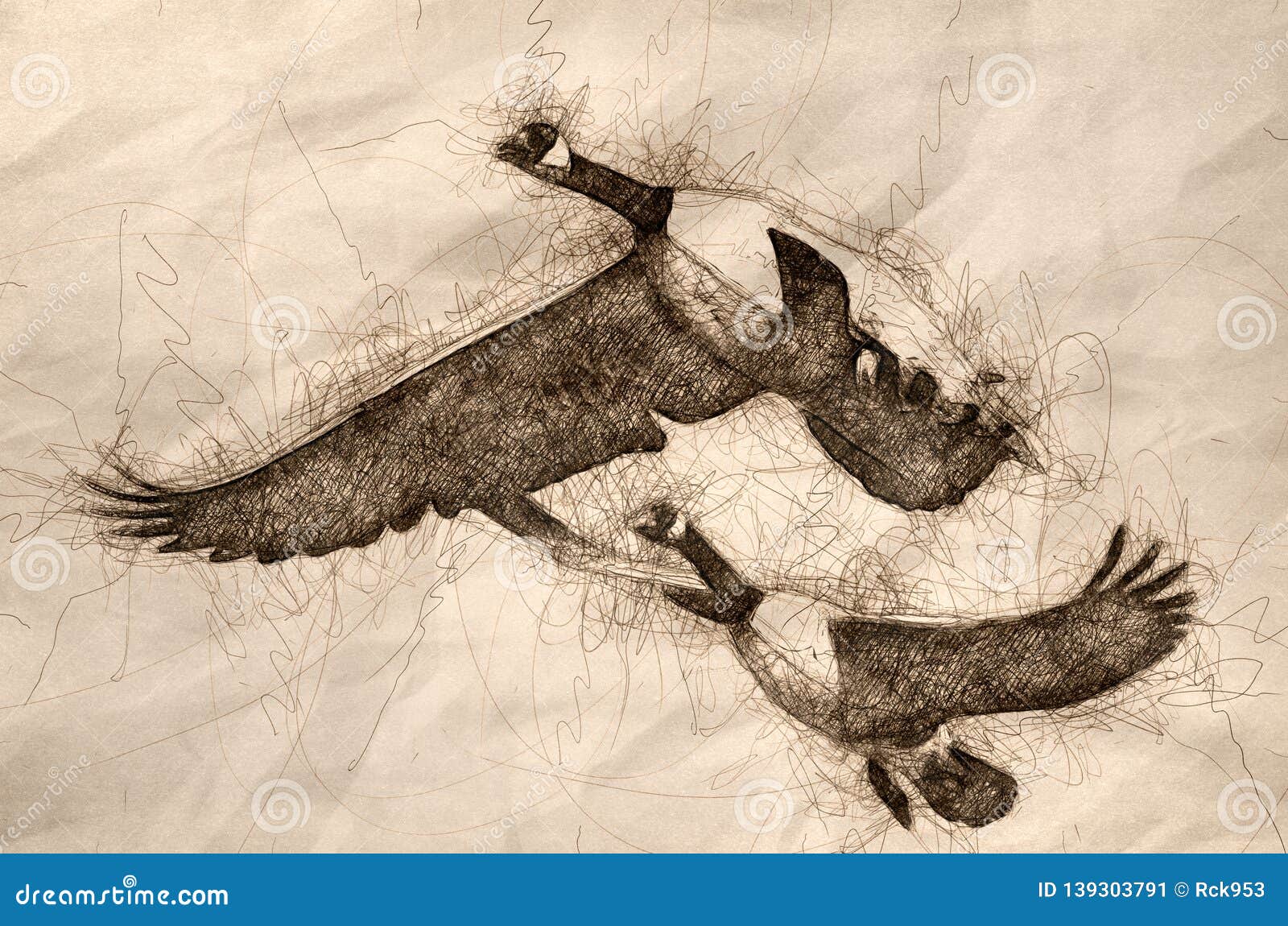 Sketch of Two Canada Geese Flying in a Blue Sky Stock Illustration ...