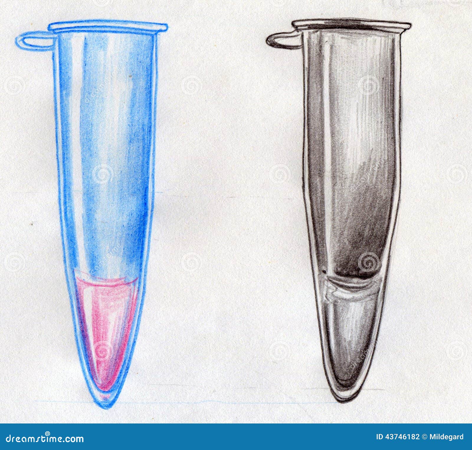 Sketch of two test tubes stock illustration. Illustration of medicine ...