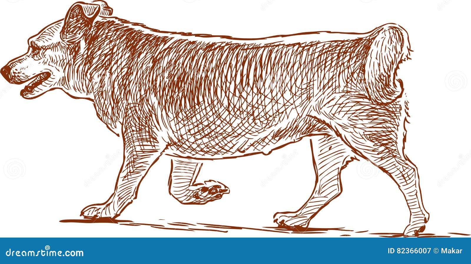 Sketch of a walking dog stock vector. Illustration of sketch - 82366007