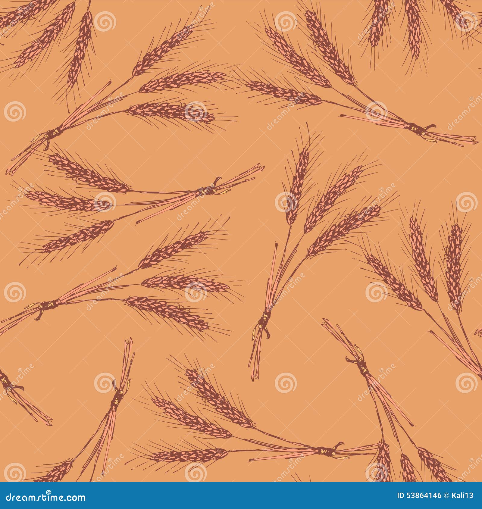 Sketch Wheat Bran in Vintage Style Stock Vector - Illustration of color ...