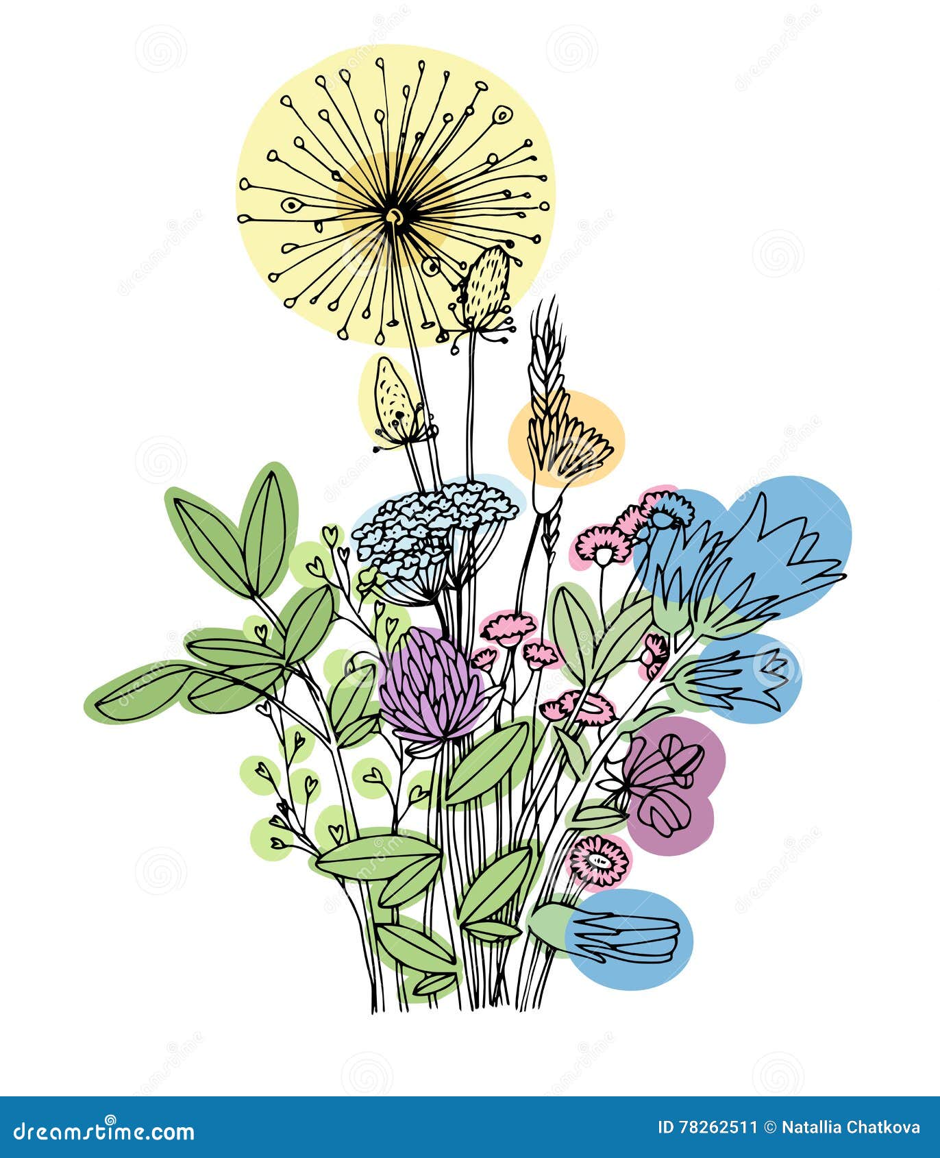 Sketch of the Wildflowers on a White Background. Stock Vector ...