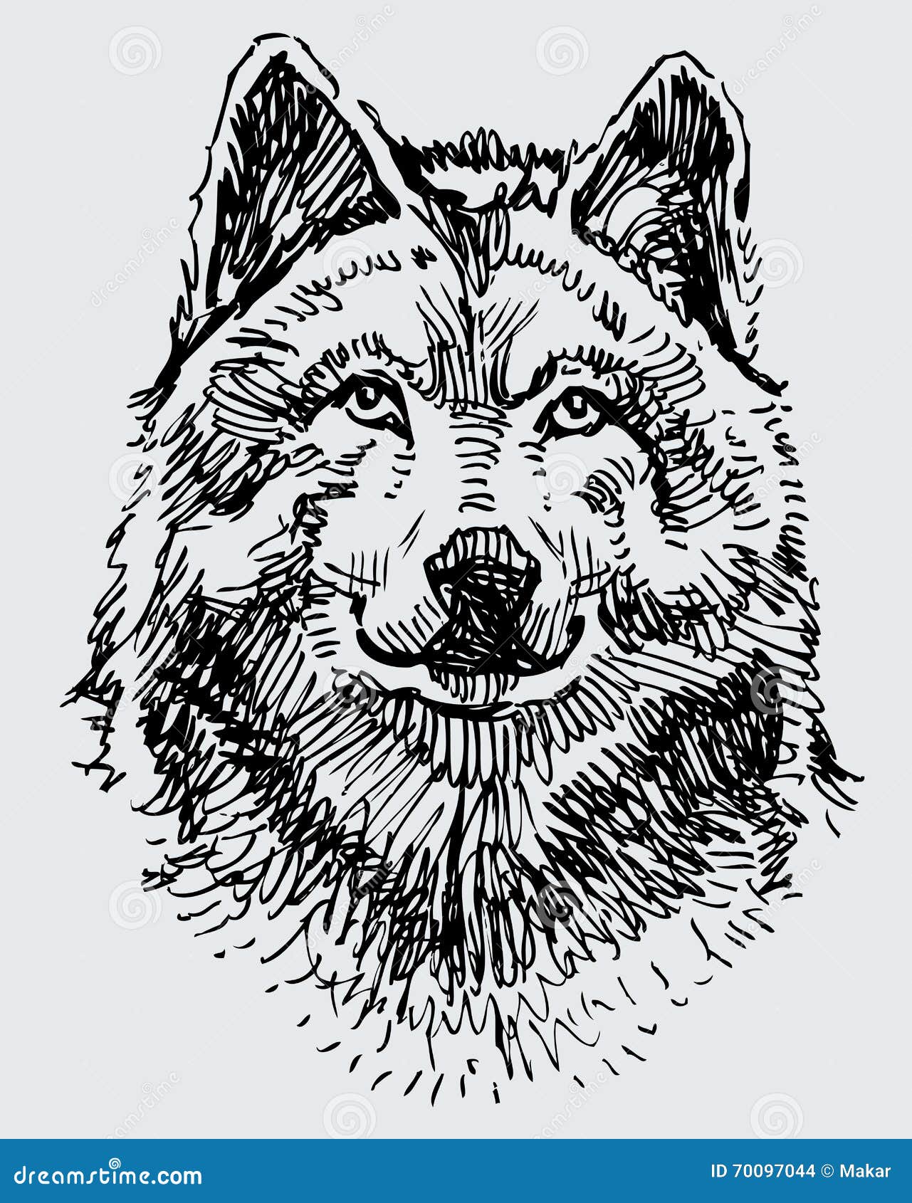 Sketch Of The Wolf Head Vector Illustration | CartoonDealer.com #70097044