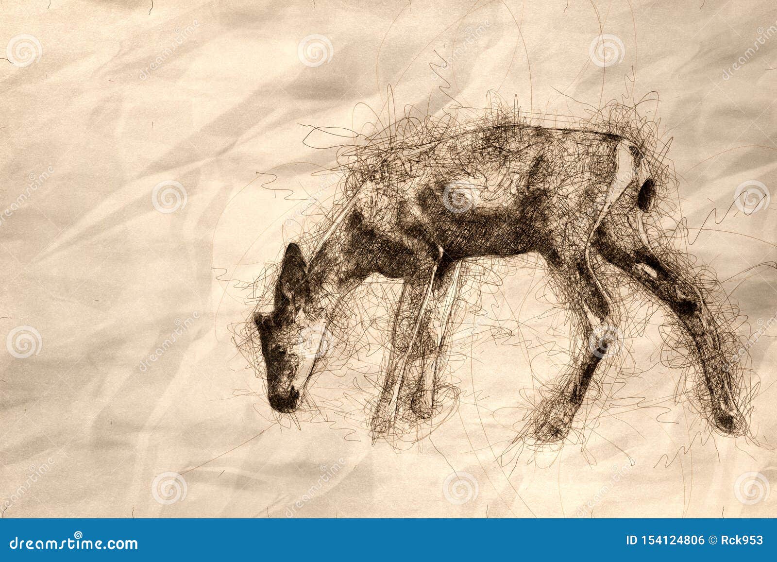 Sketch of a Young Buck Deer Walking Across the Open Field Stock Photo ...