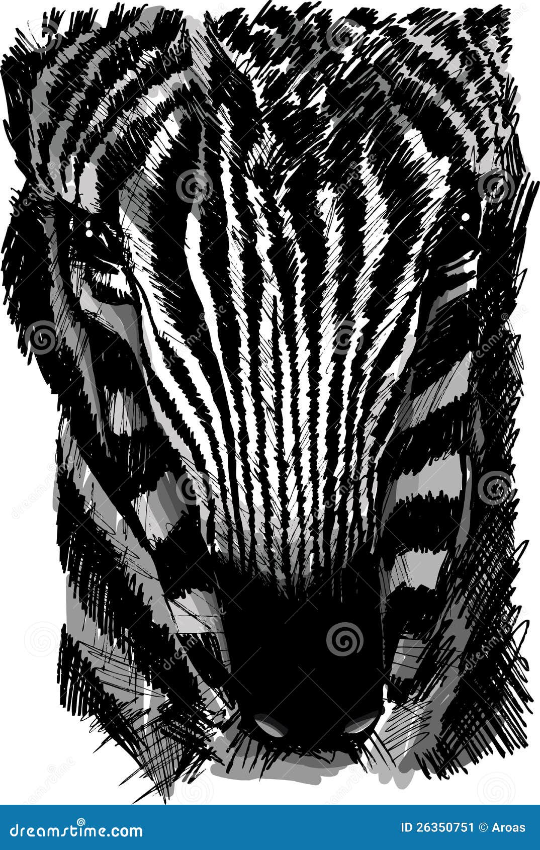 Sketch of a zebra head stock vector. Illustration of camouflage - 26350751